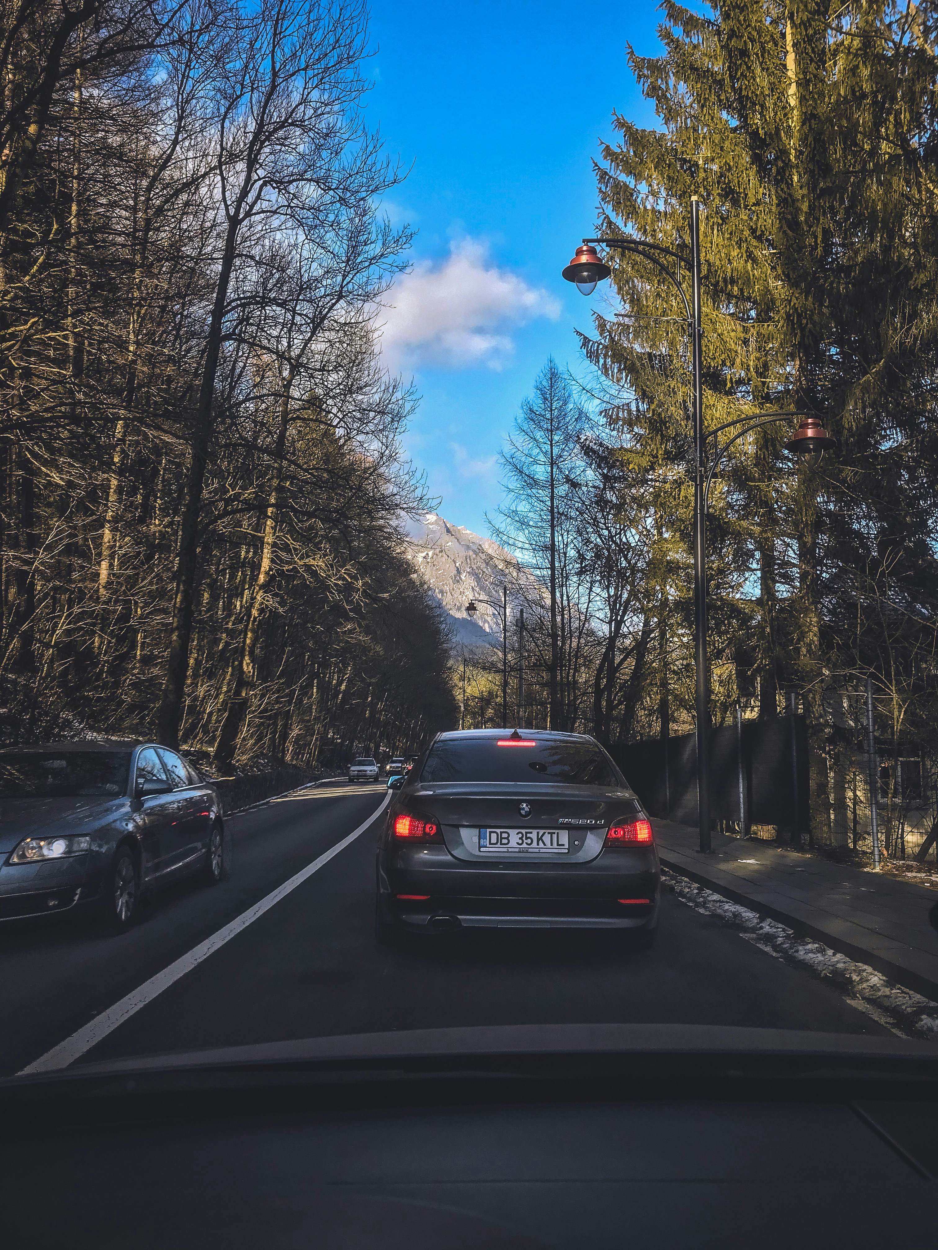 black car on road between trees during daytime