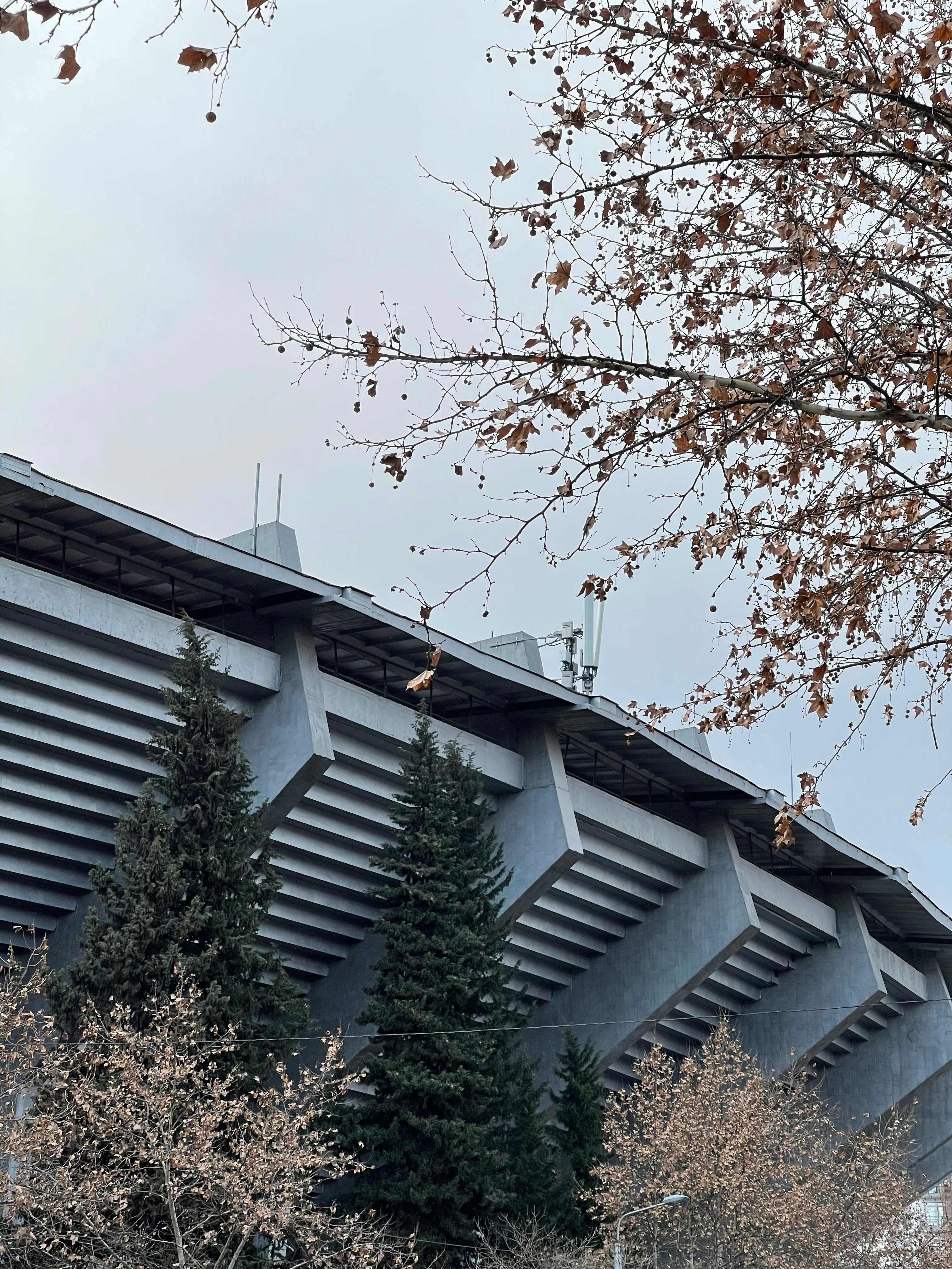 Winter Angles: Tiered Concrete Facade Beneath a Leafless Canopy