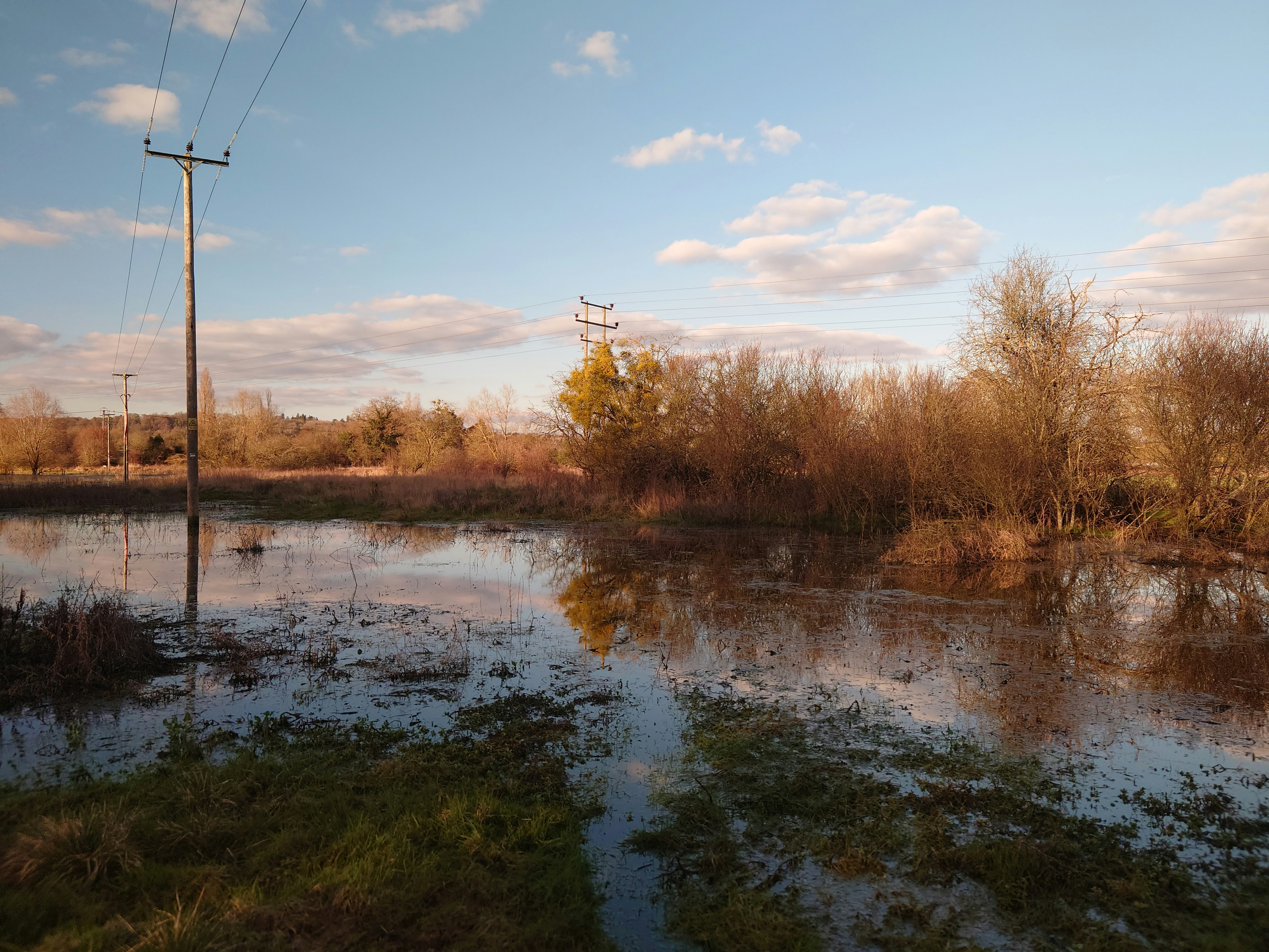 Floodplain at golden hour with shallow water reflecting the sky, power lines crossing the left and clusters of bare trees along the horizon.