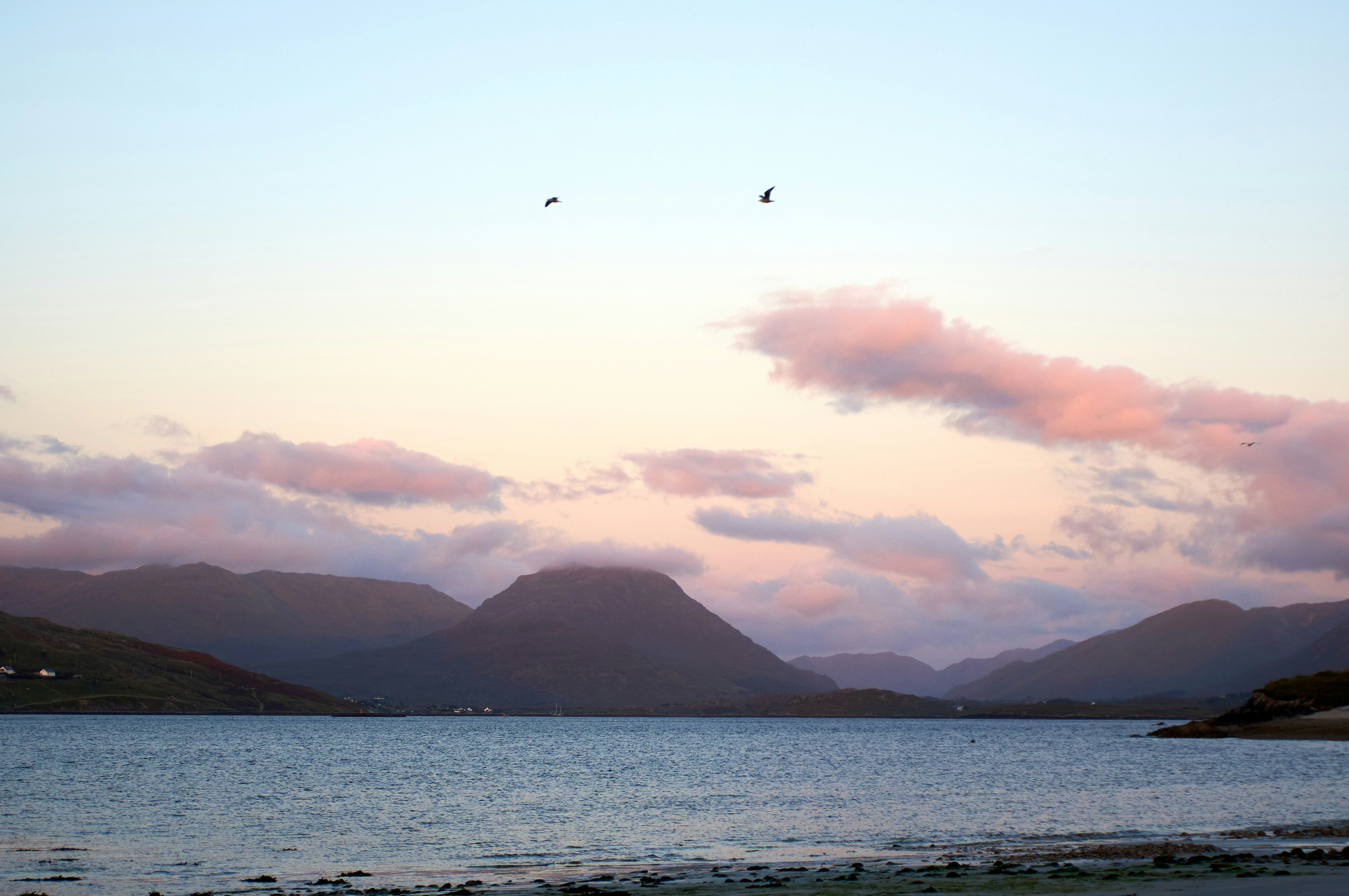 birds flying over the sea during sunset