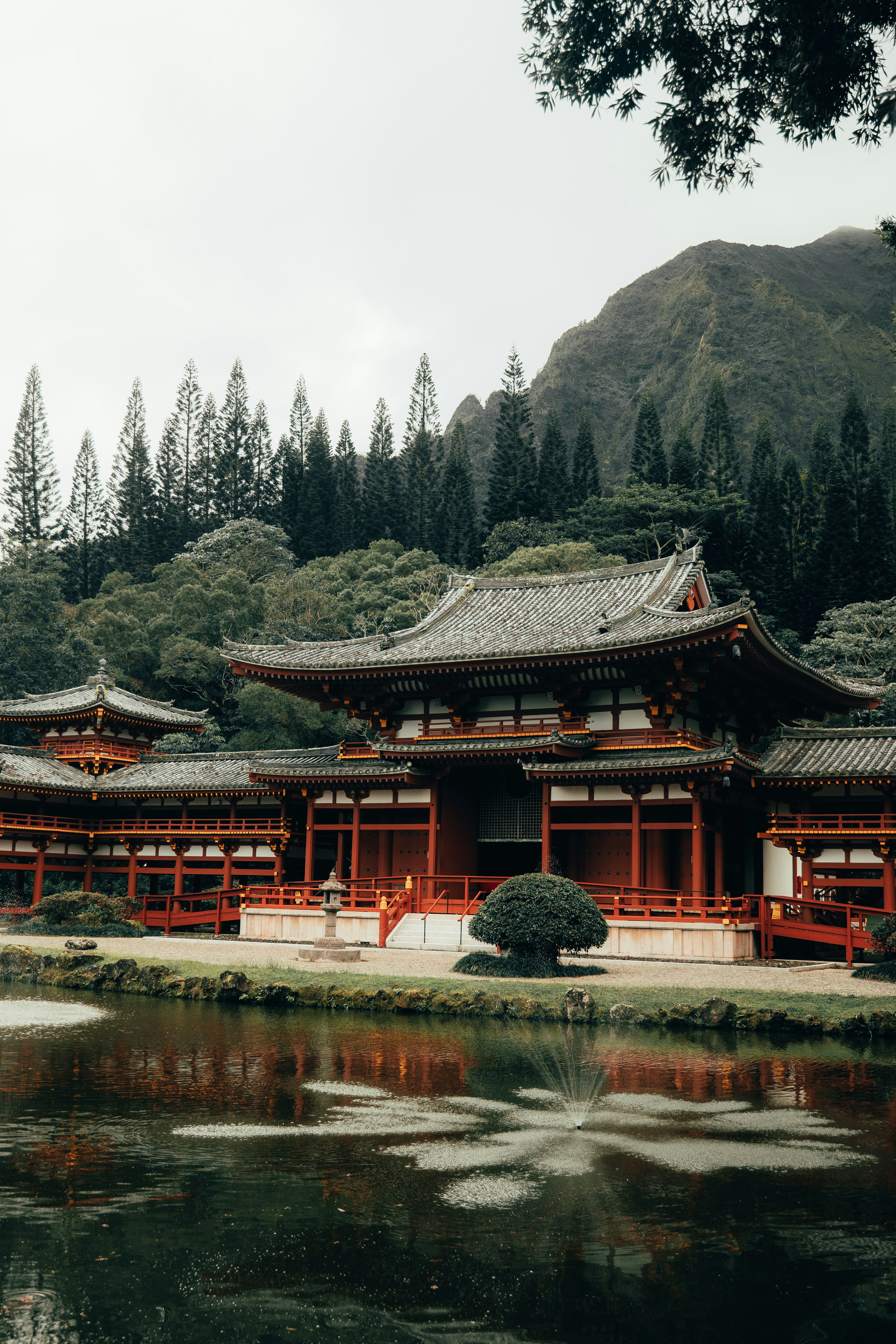 Traditional Japanese temple surrounded by lush greenery and serene pond, reflecting the tranquility of its environment.