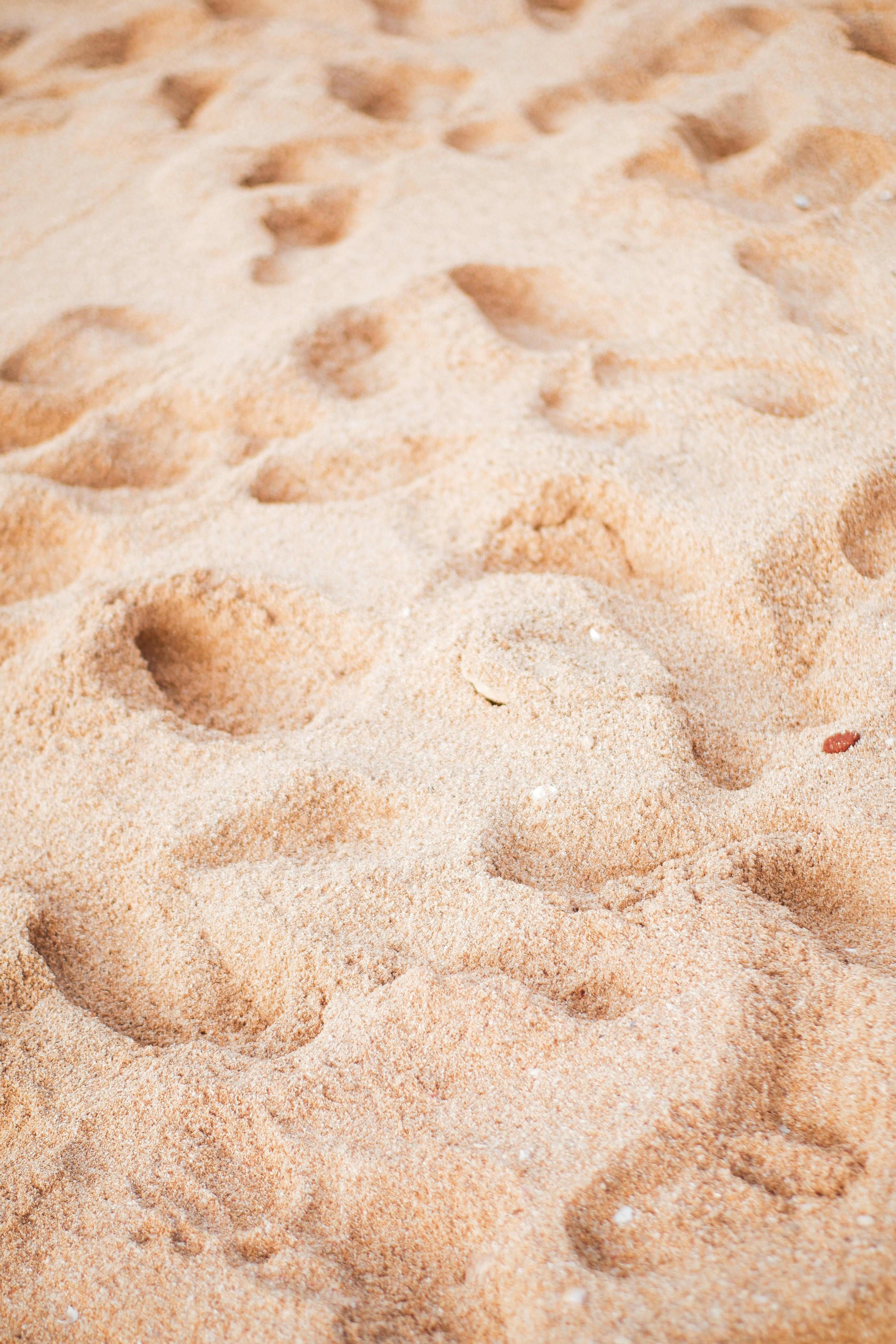 Footprints in dune-hued sand: a quiet, sunlit shoreline of grains