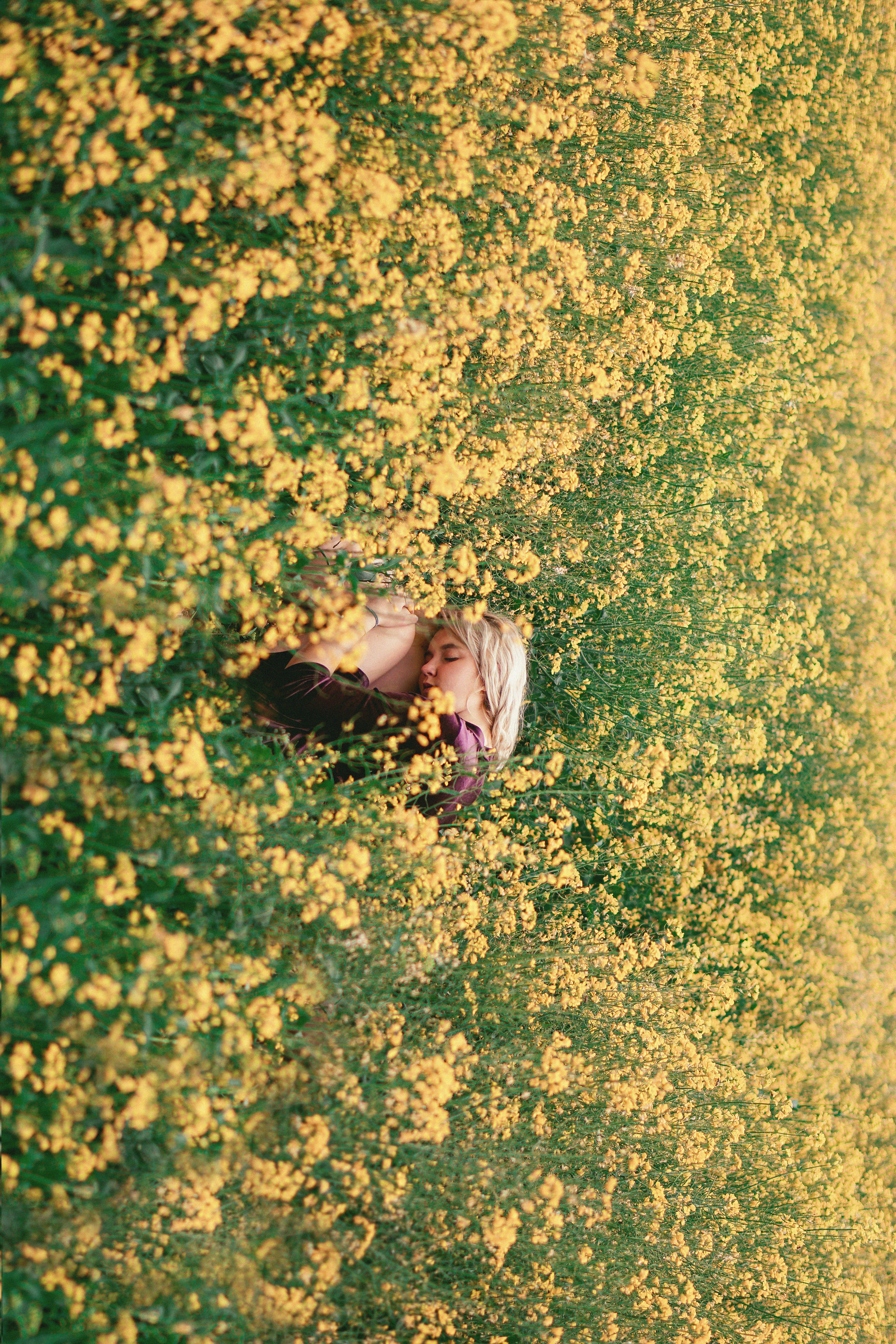 Hidden Kiss: A Moment Between Blossoms