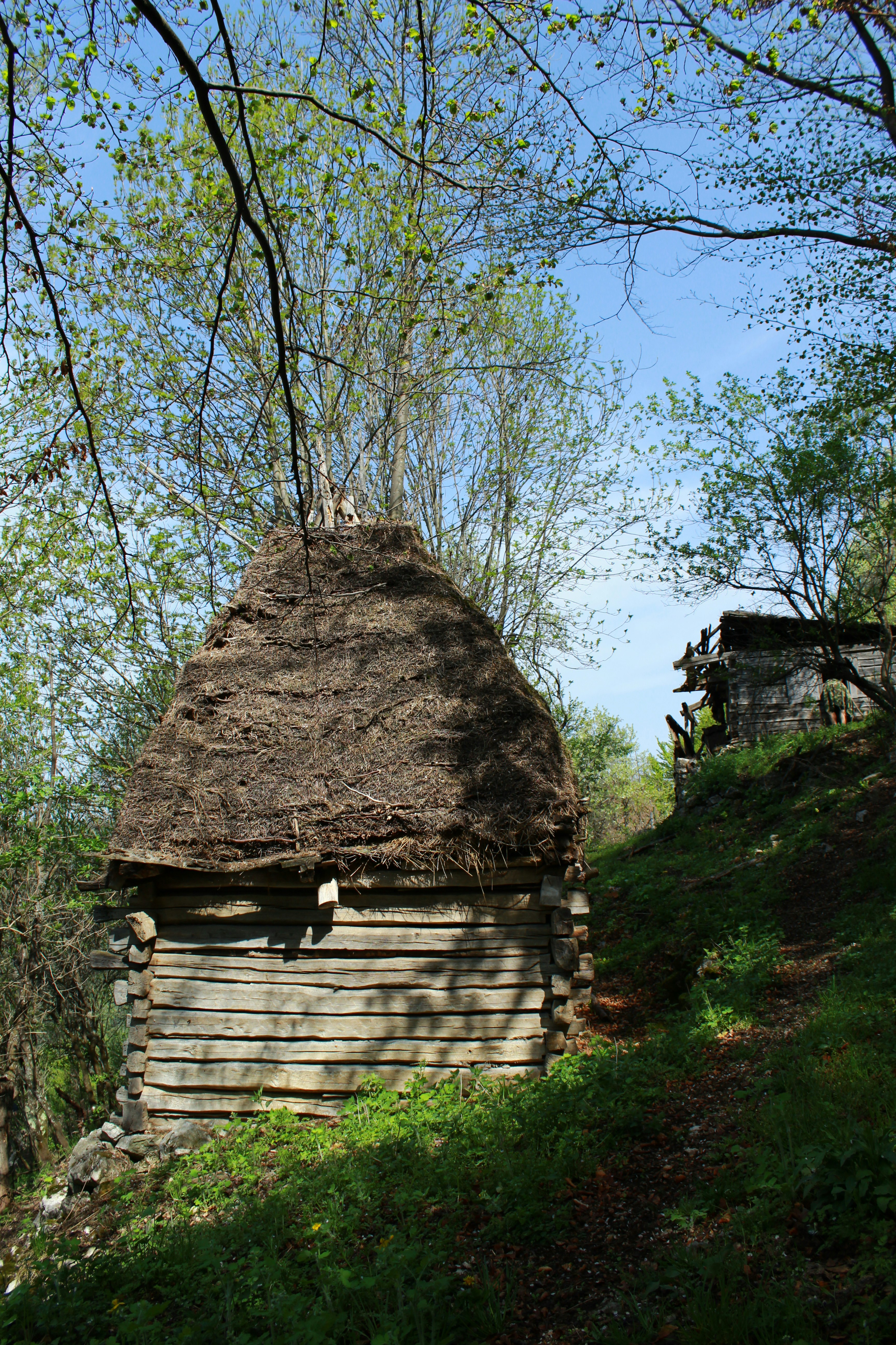 Weathered wooden cabin with a thatched roof nestled among lush greenery, evoking a sense of history and tranquility.
