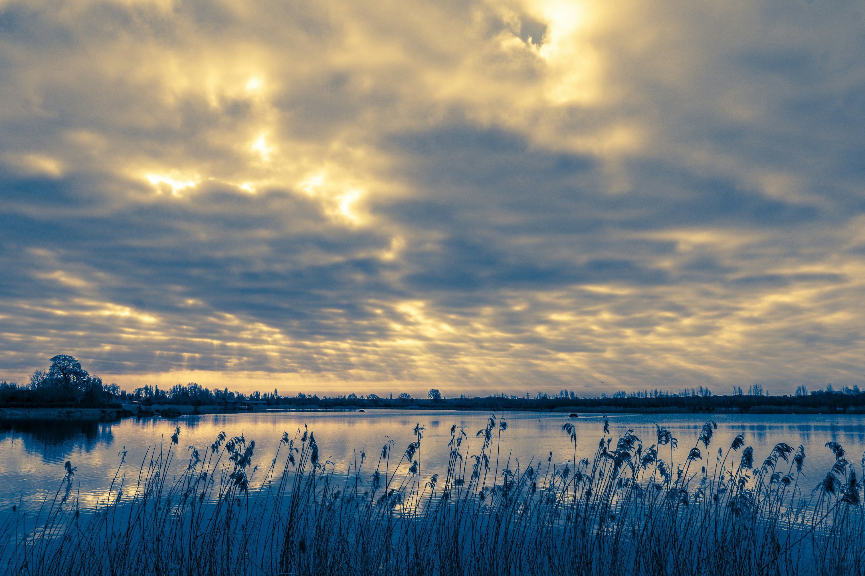 Golden light reflects off a serene lake, framed by tall reeds under a moody sky. The scene evokes a sense of calm and introspection.
