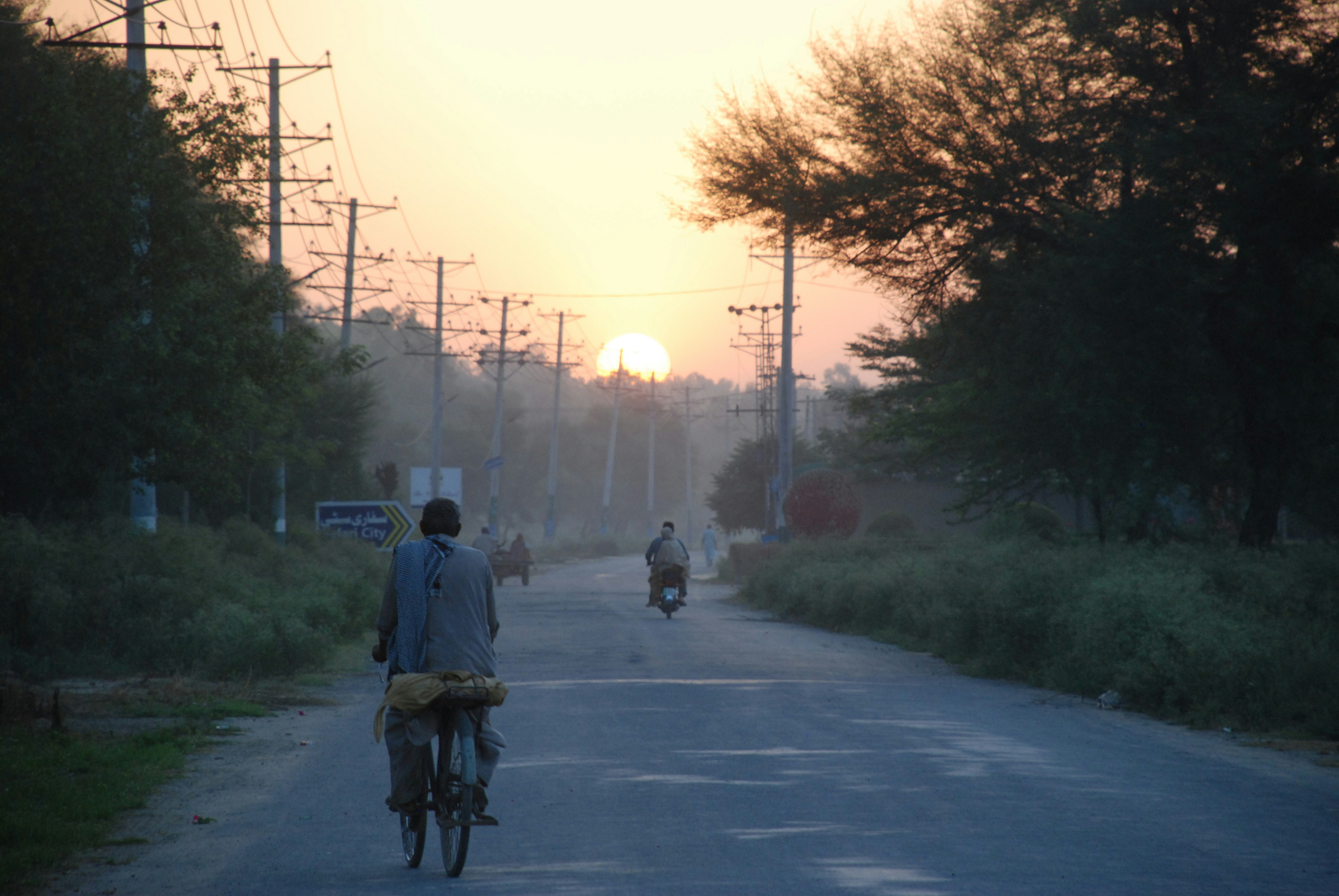 Cyclists journey down a rural road at sunrise, framed by silhouetted trees and power lines.