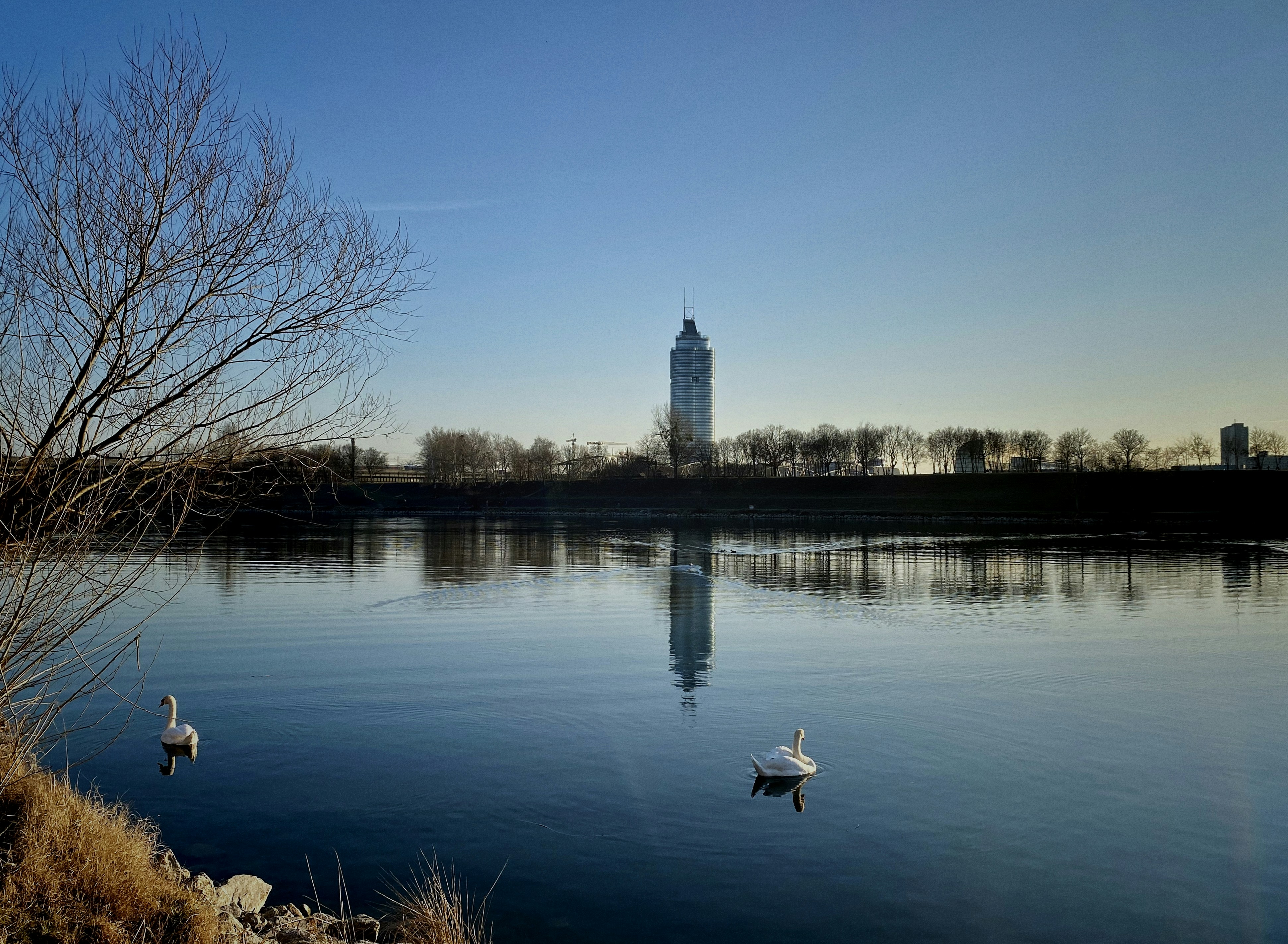 Twin Reflections: City Tower Peeks Over a Quiet Lake