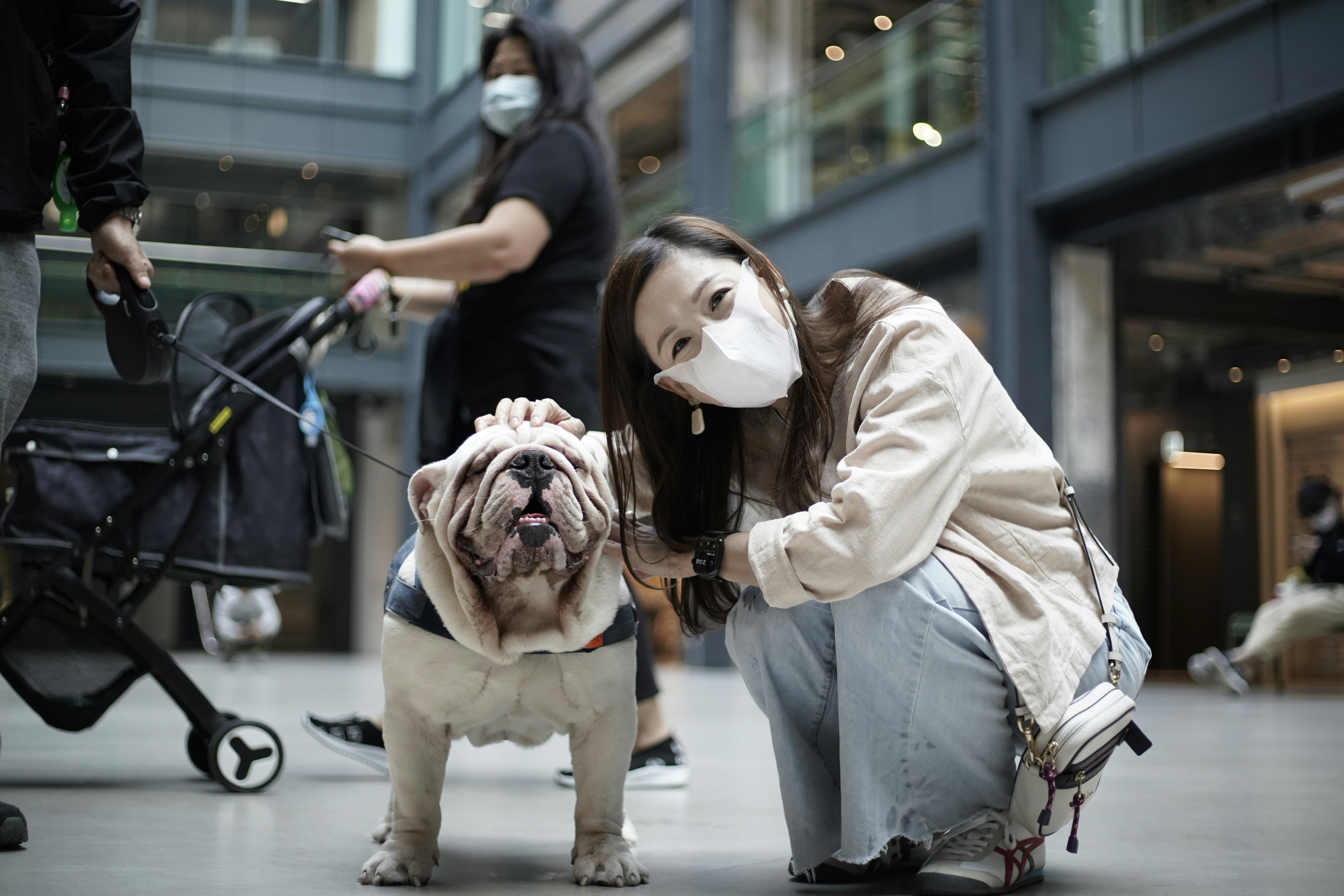 Meet the dog in shopping mall