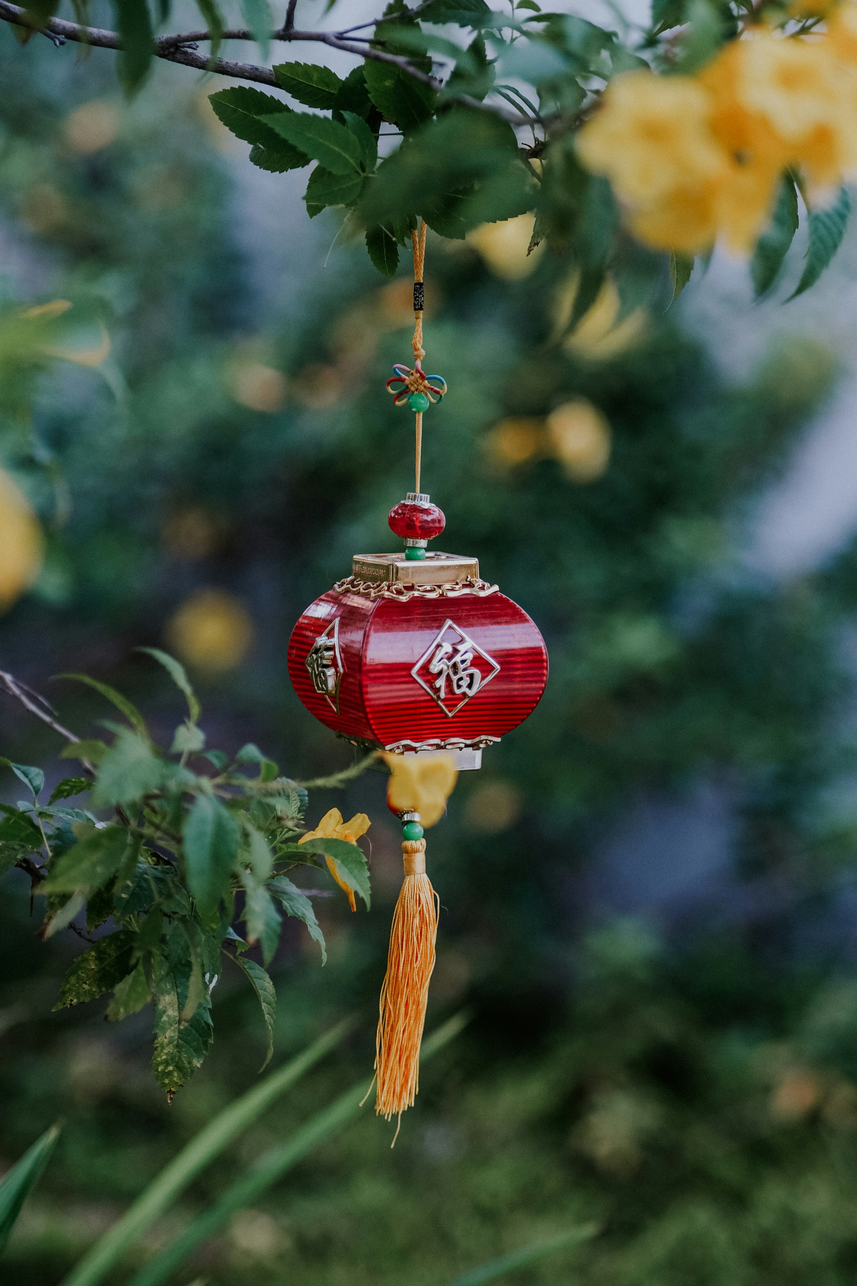 Vibrant red lantern adorned with intricate details hangs gracefully among lush green leaves and soft yellow blooms.