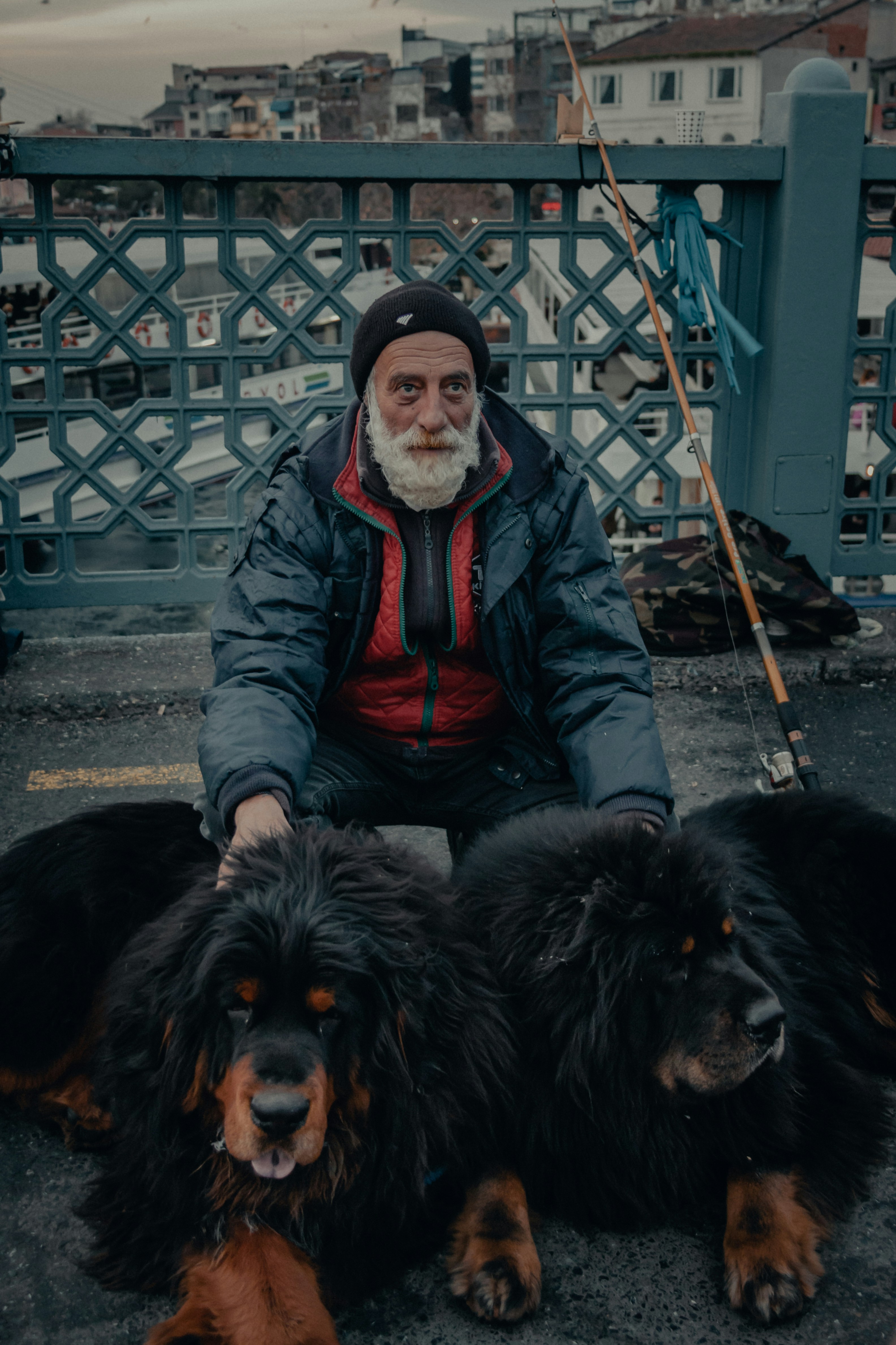 Bearded Fisher of the Bridge with Two Guard Dogs