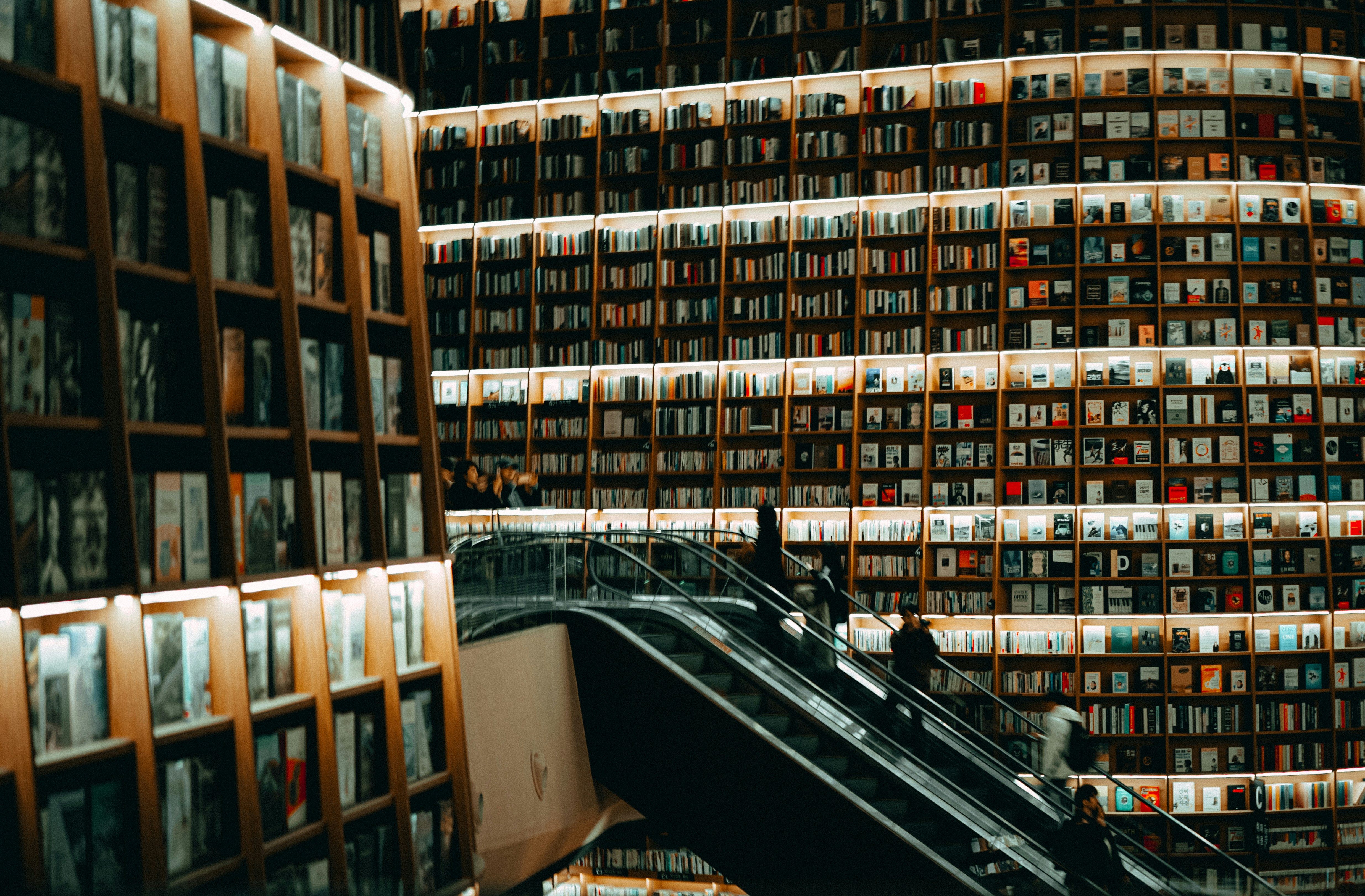 Books on shelves in library photo – Free Human Image on Unsplash