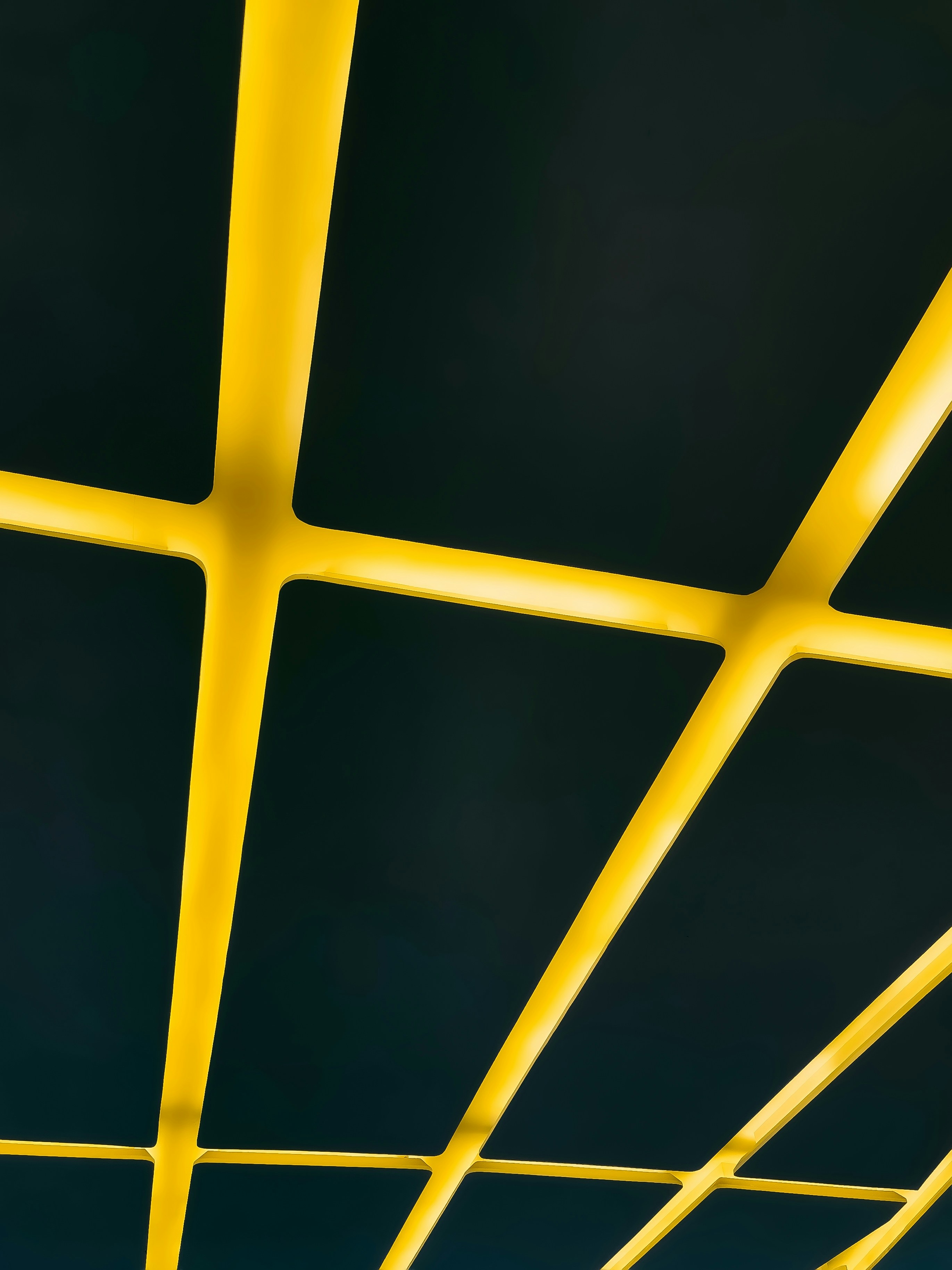 Close-up photograph of a yellow lattice grid against a dark teal background, emphasizing bold geometric lines.