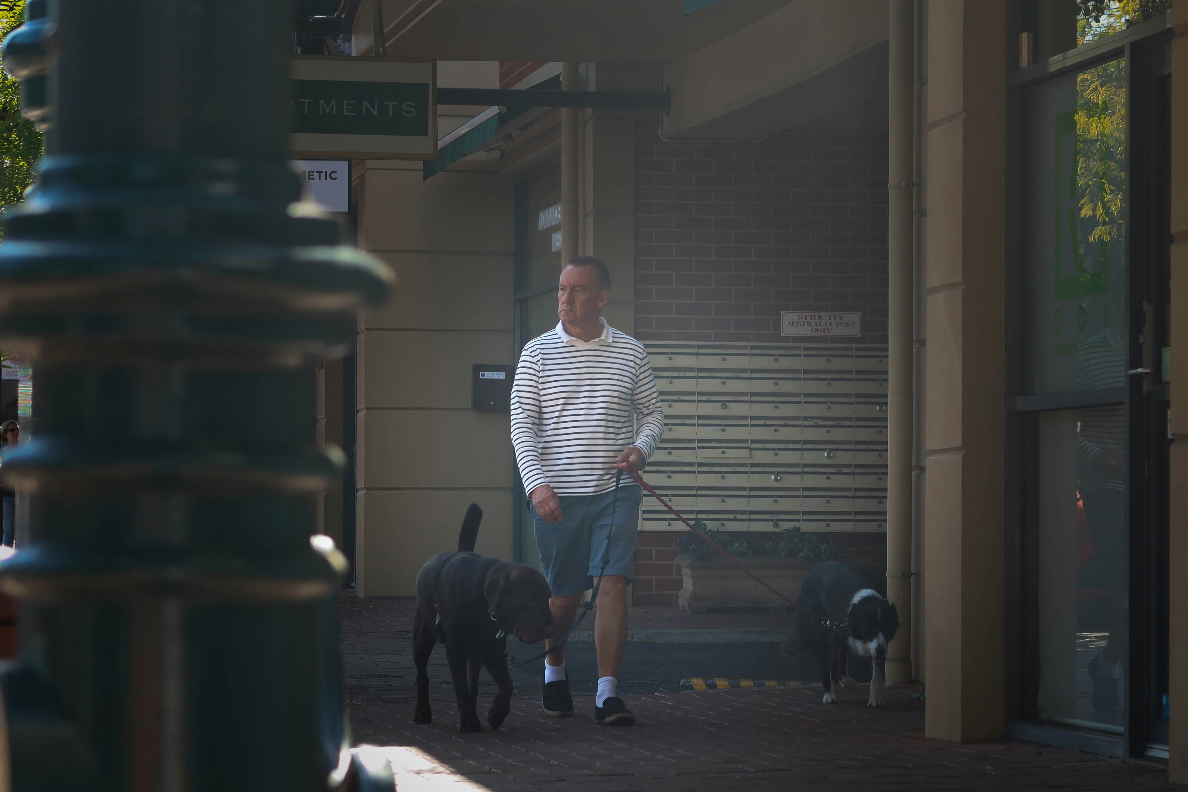 Stripes and Companions: A Quiet City Stroll