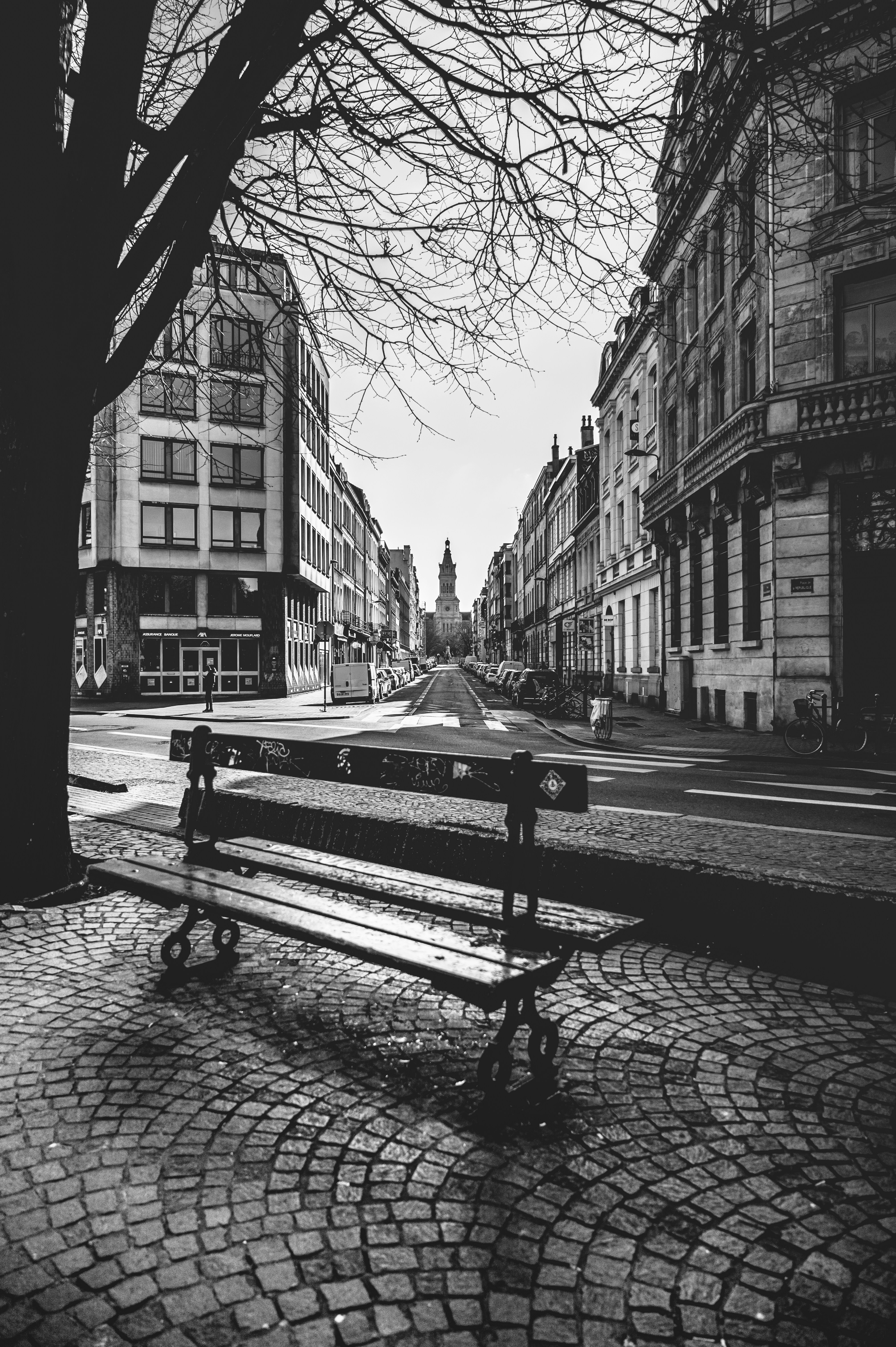 A weathered bench on a cobblestone path, framed by stark trees and elegant architecture, inviting contemplation on a quiet street.
