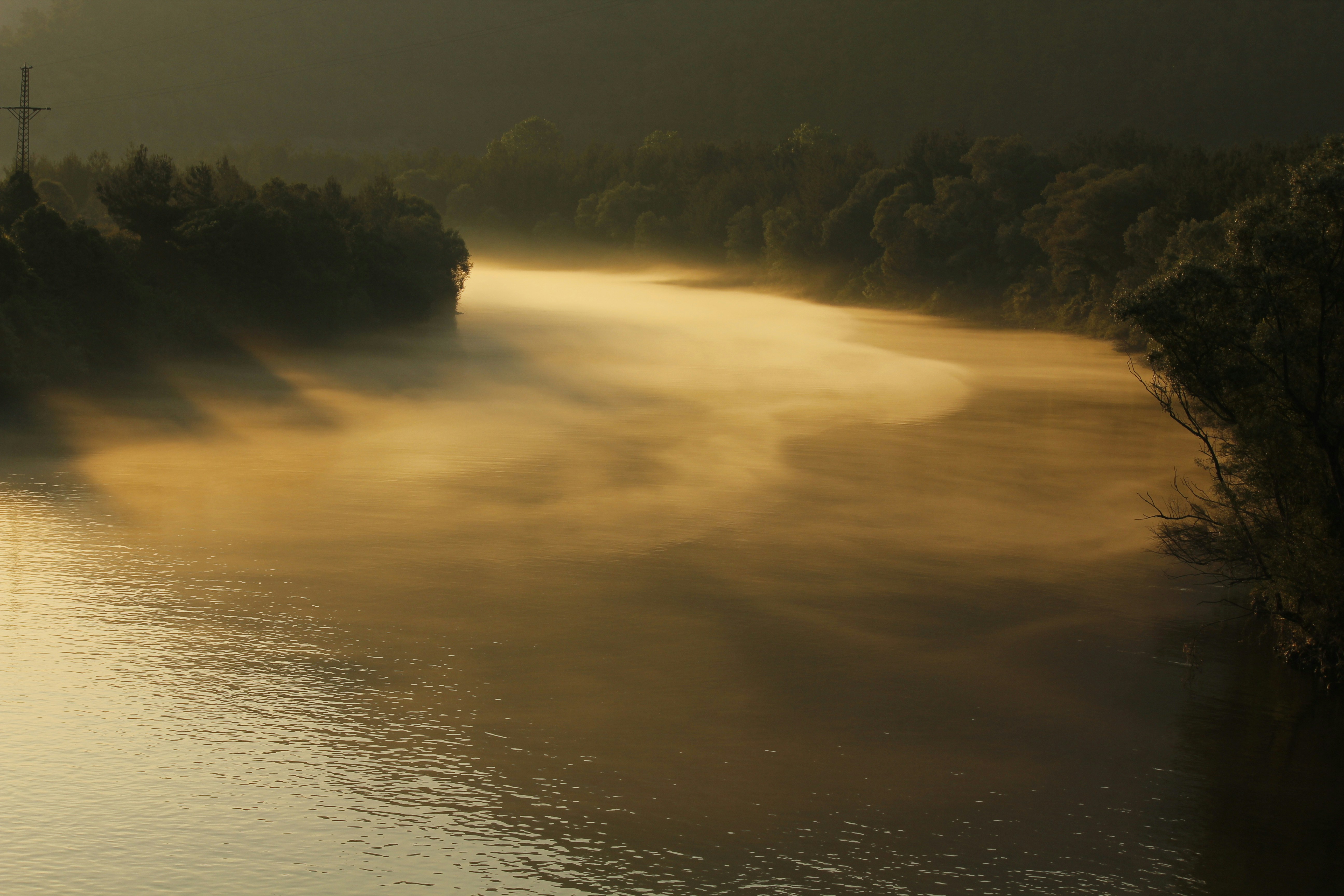 Golden mist rising over a tranquil river at dawn, framed by lush trees along the banks. The soft light creates a serene atmosphere.