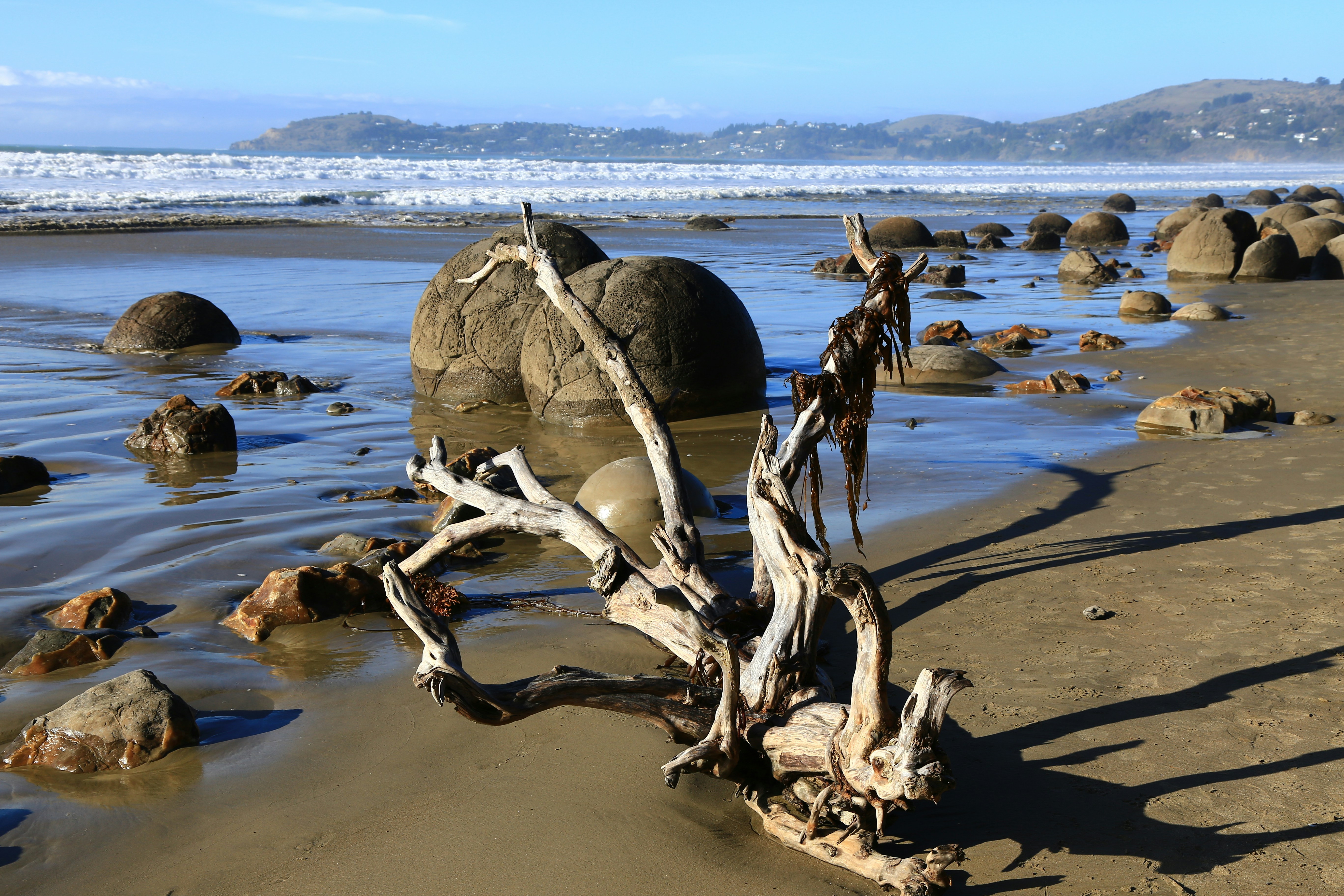 Brown wood log on beach during daytime photo – Free Sea Image on Unsplash