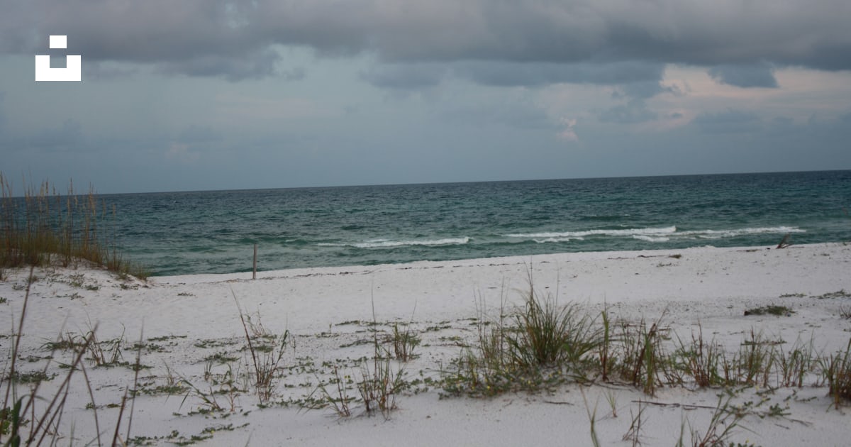 Green Grass Near Body Of Water During Daytime Photo Free Grey Image