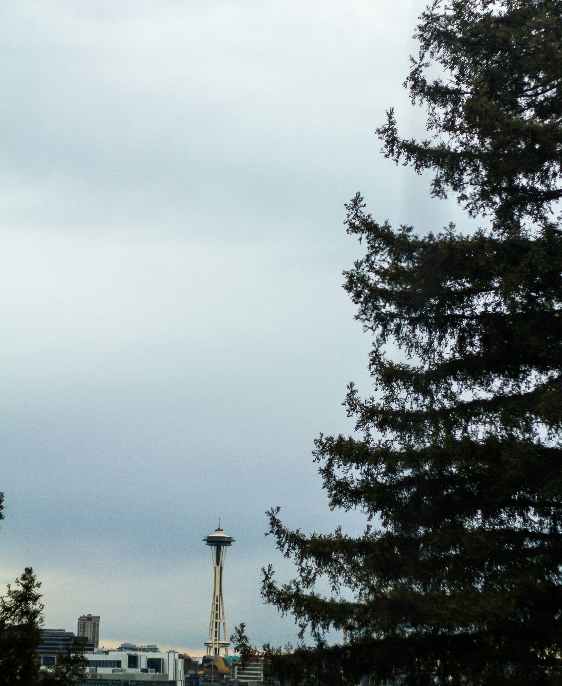 Space Needle Framed by the Silent Pines