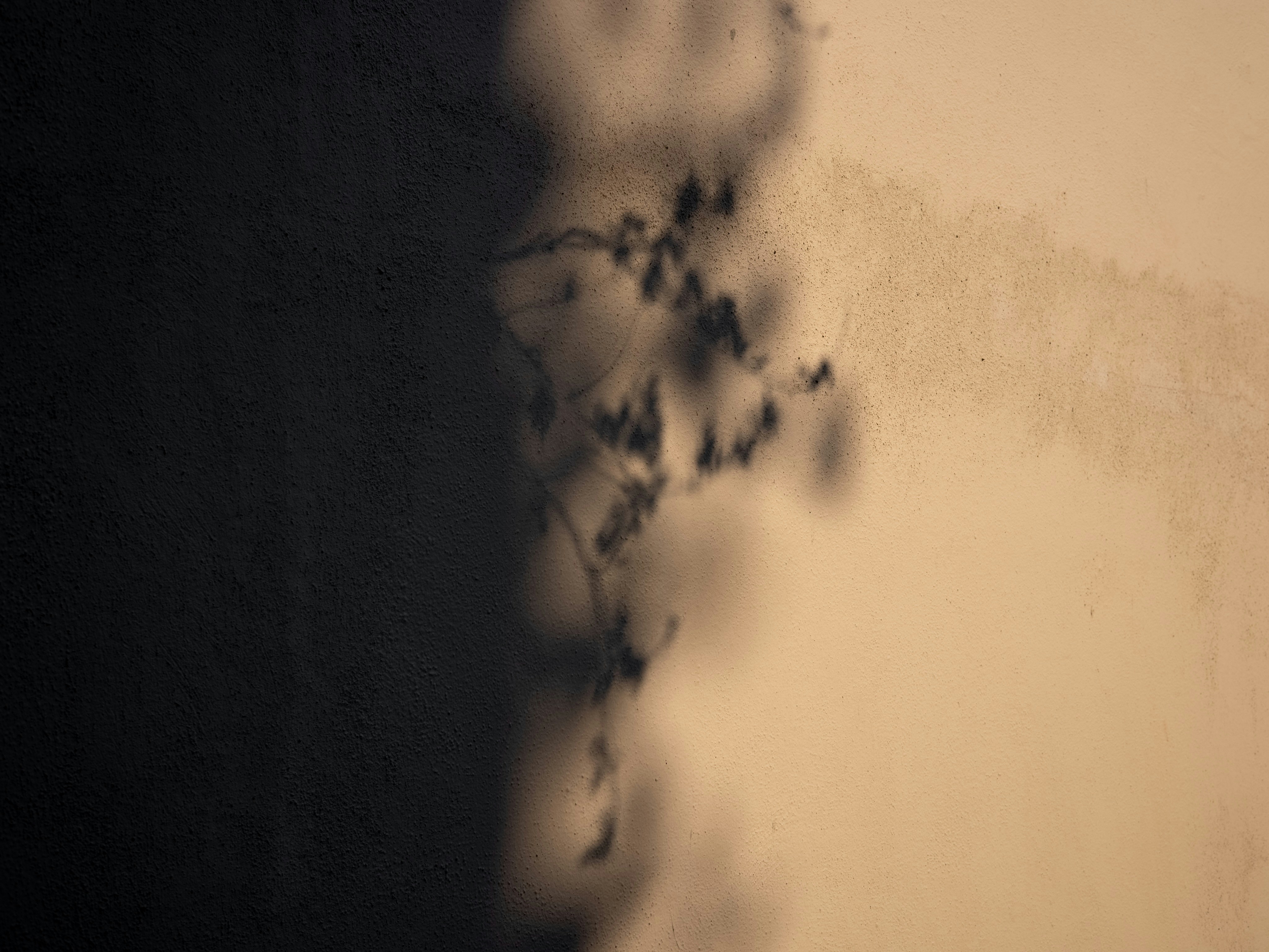 Whispers of Shadow and Lightthe blowup