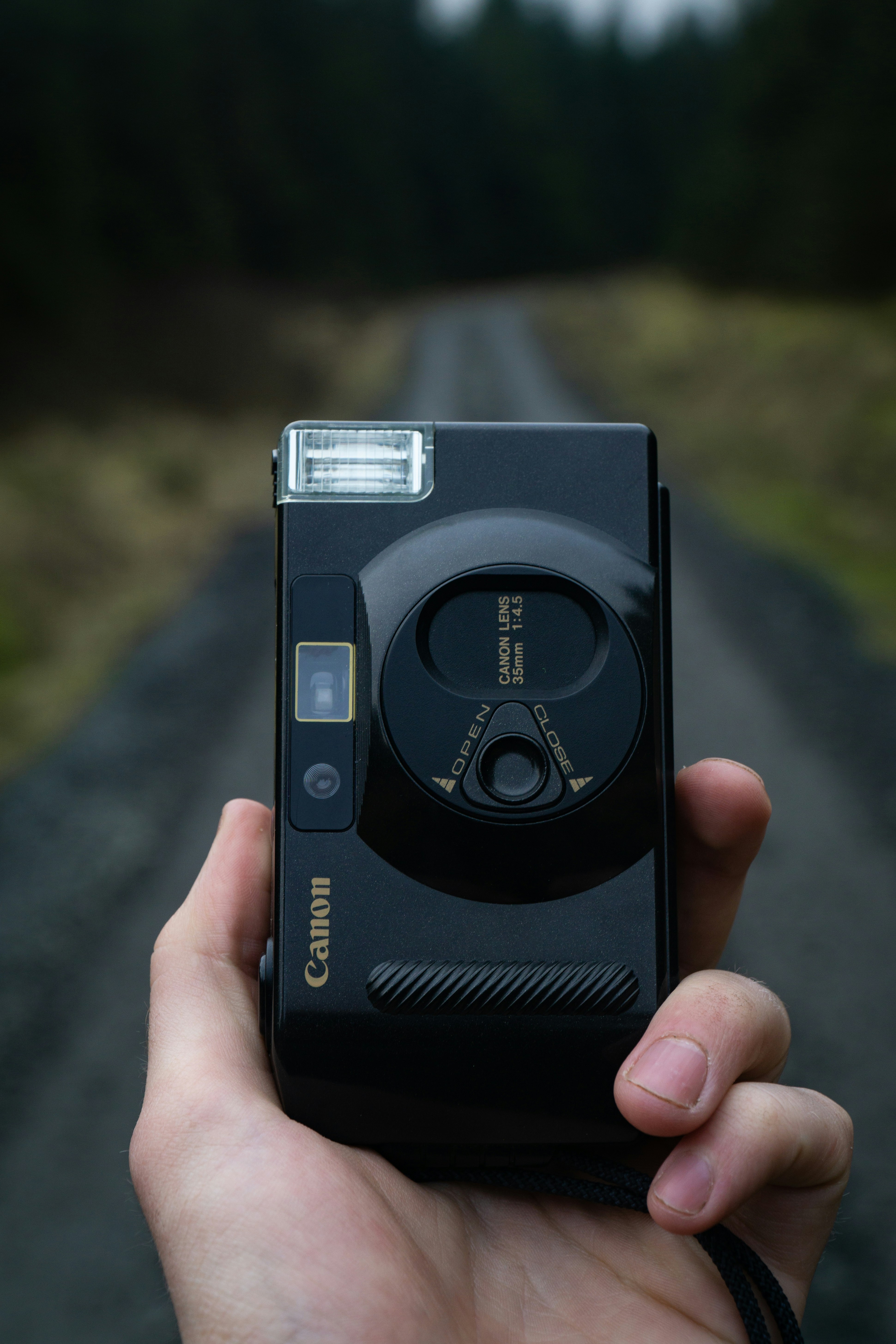 film camera on forrest trail