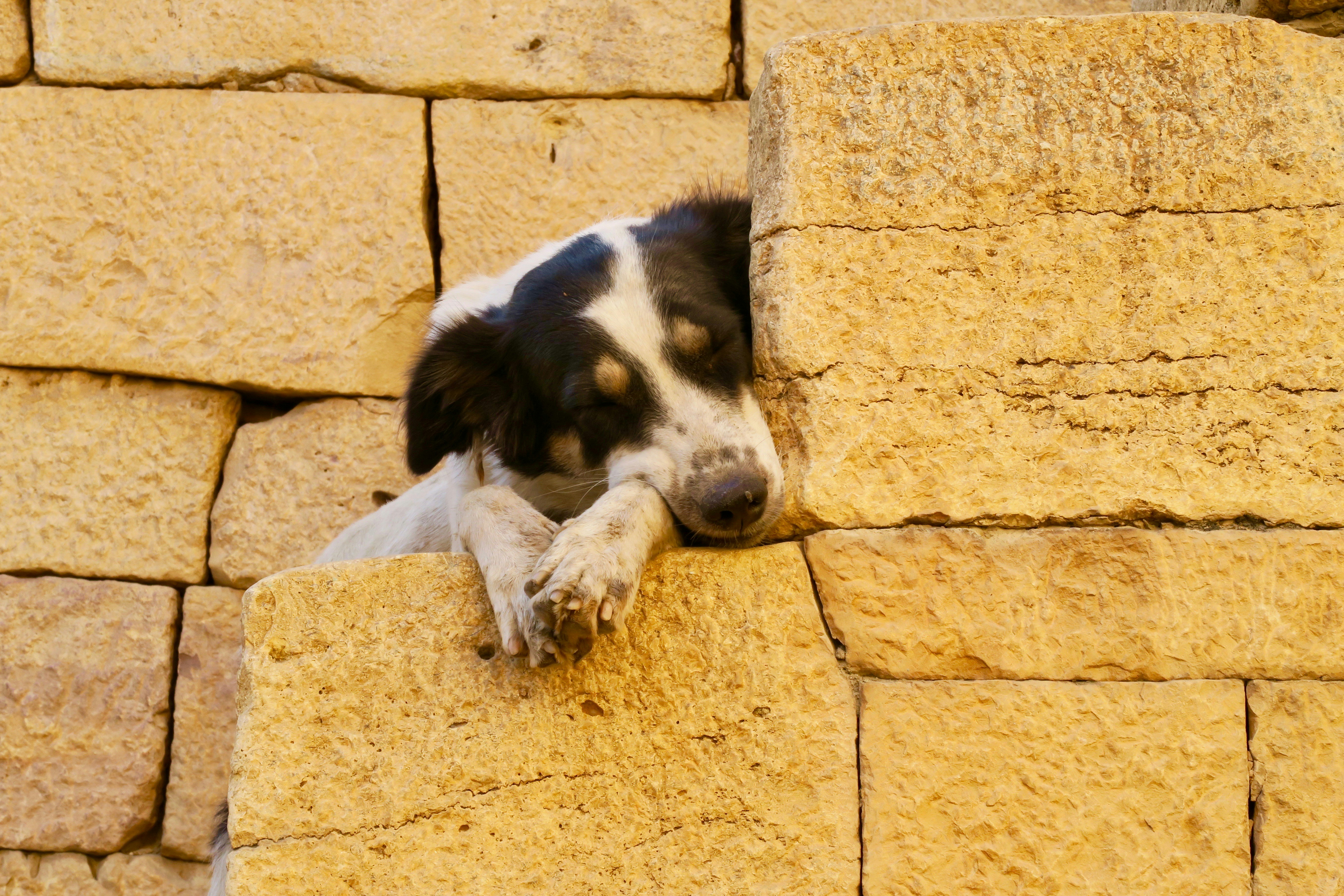 Photo by Freysteinn G. Jonsson with Canon PowerShot G5 X