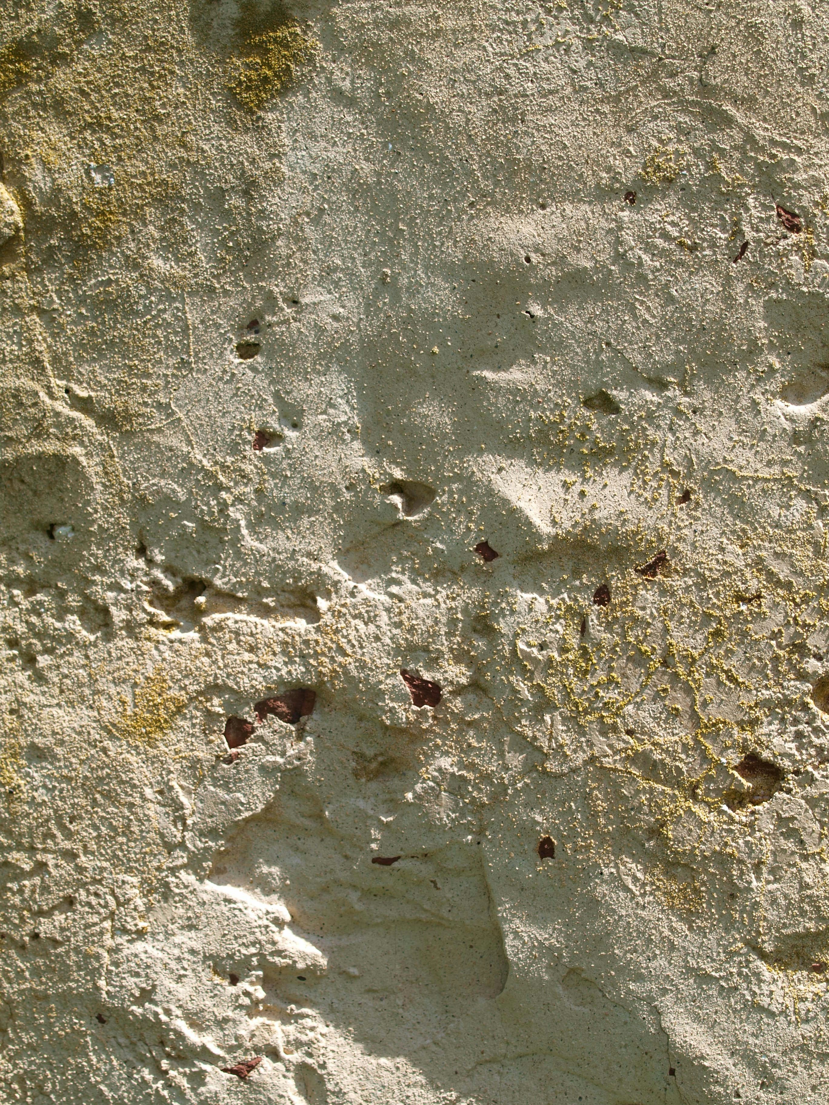 Close-up of a weathered wall revealing intricate textures and colors of moss and minerals.