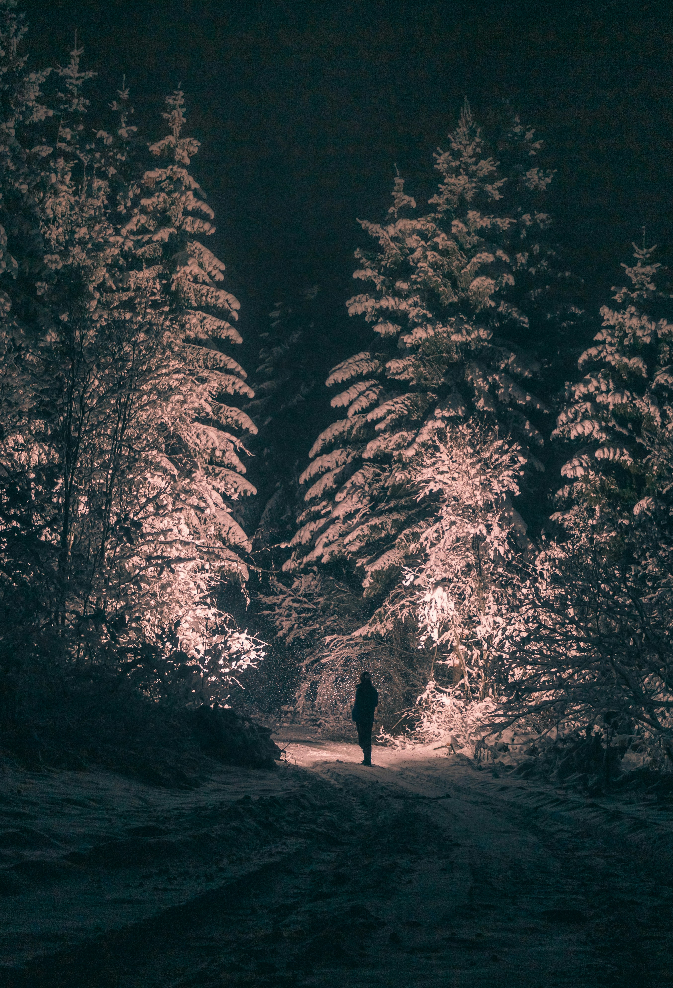 A solitary figure stands amidst snow-laden trees illuminated by soft light, creating a serene winter scene.