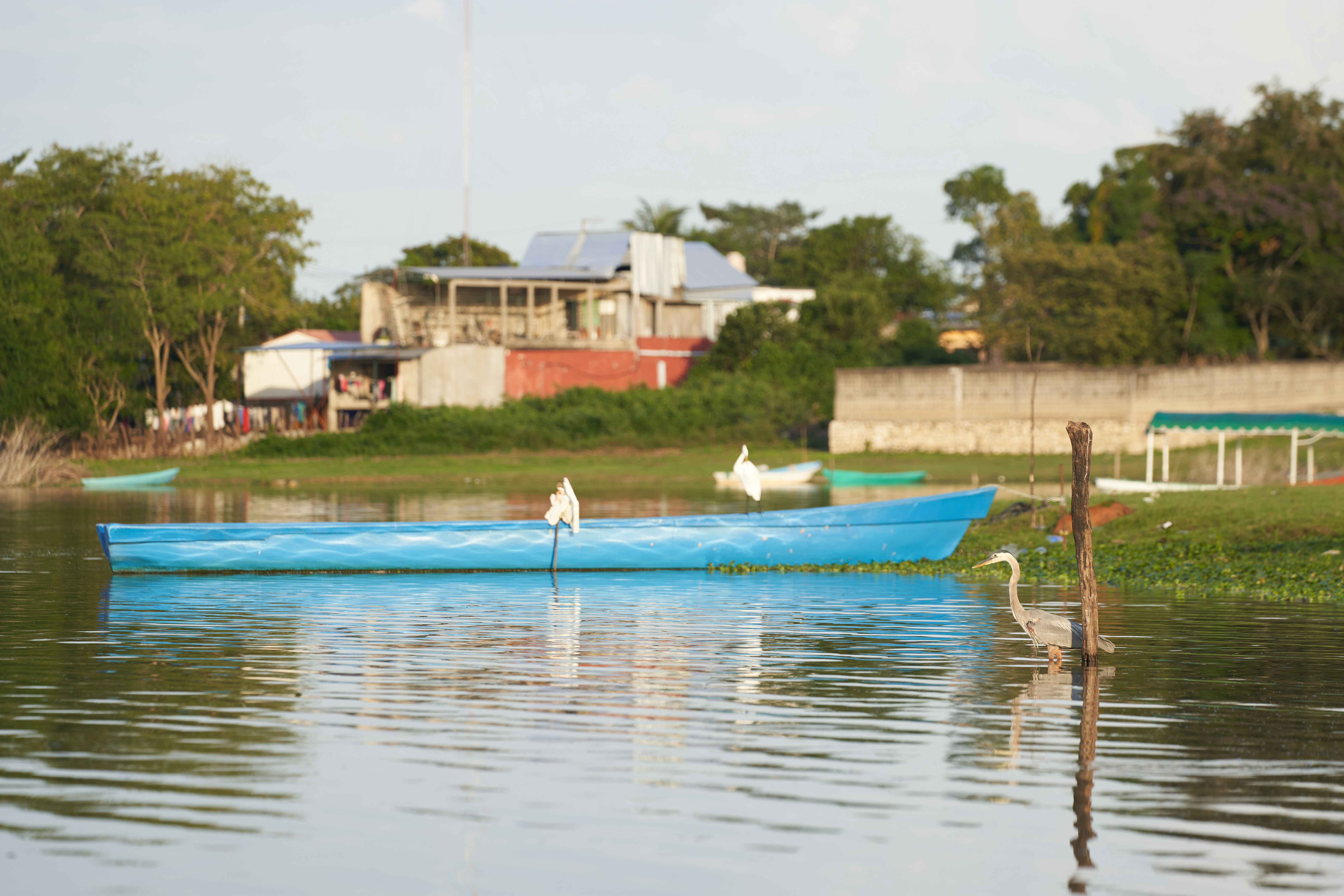 blue and white boat on water during daytime