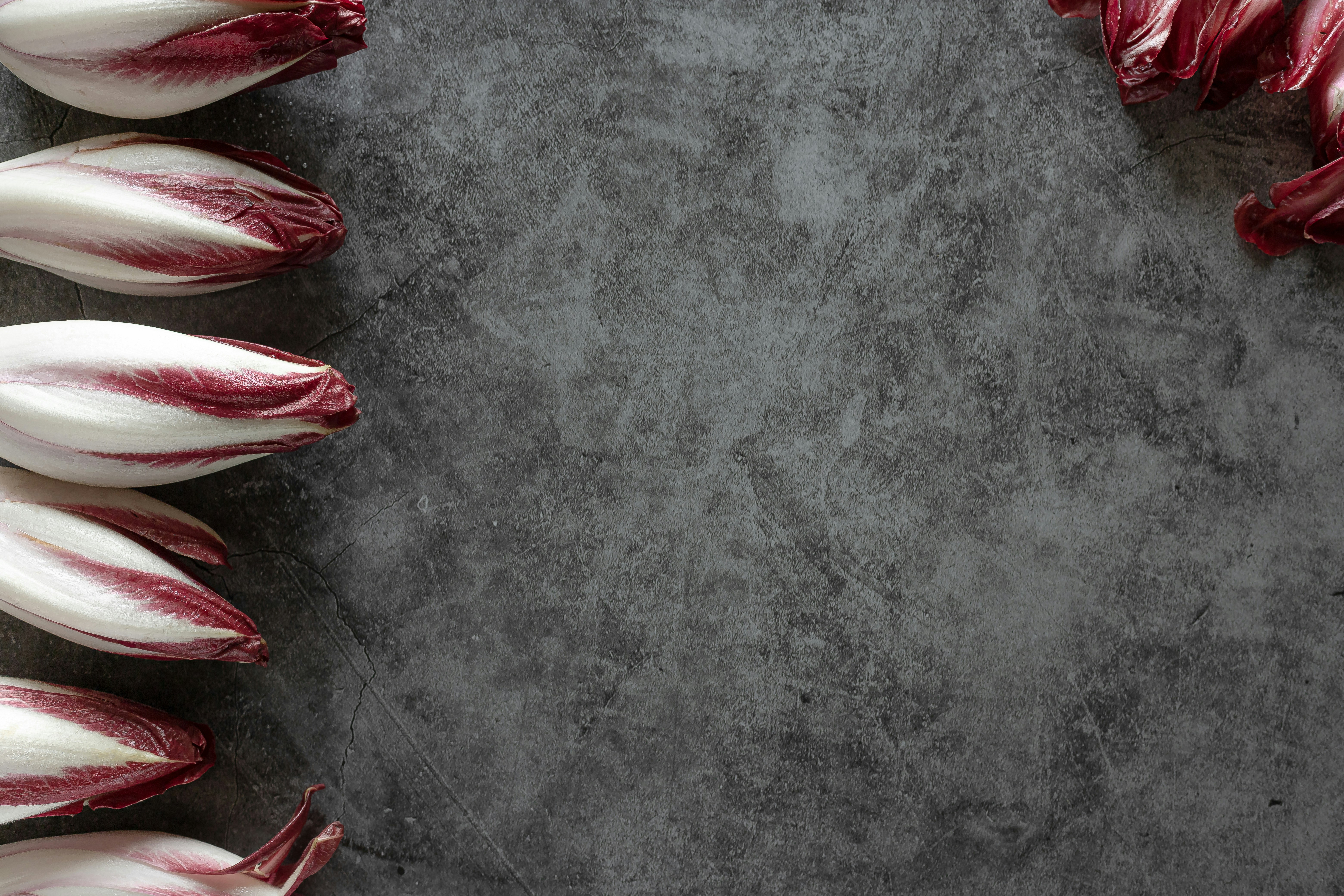 Radial Fringes of Burgundy: Radicchio Petals Framing a Slate Atelier
