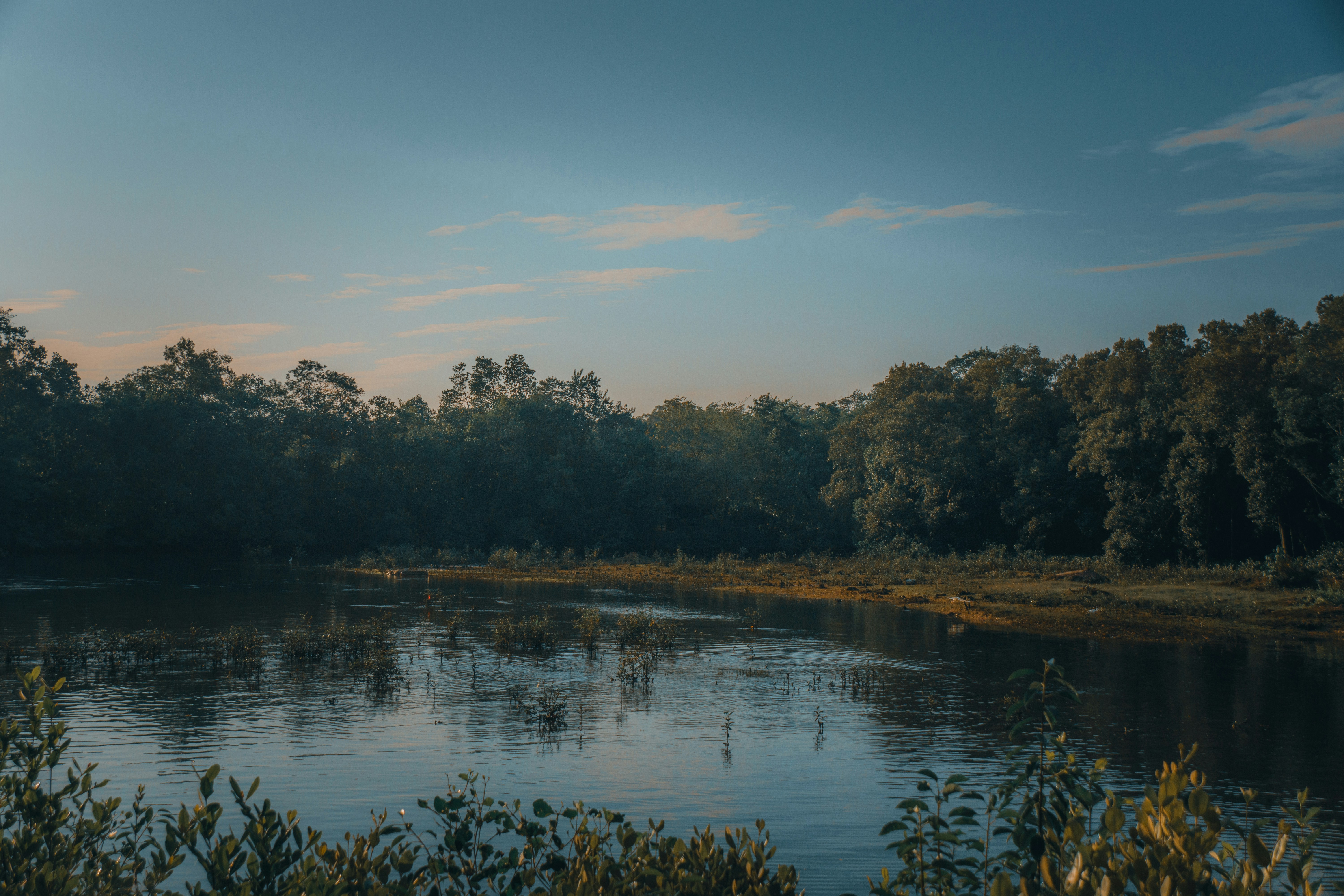 Serene river scene at dusk, framed by lush greenery and soft clouds reflecting in the water.