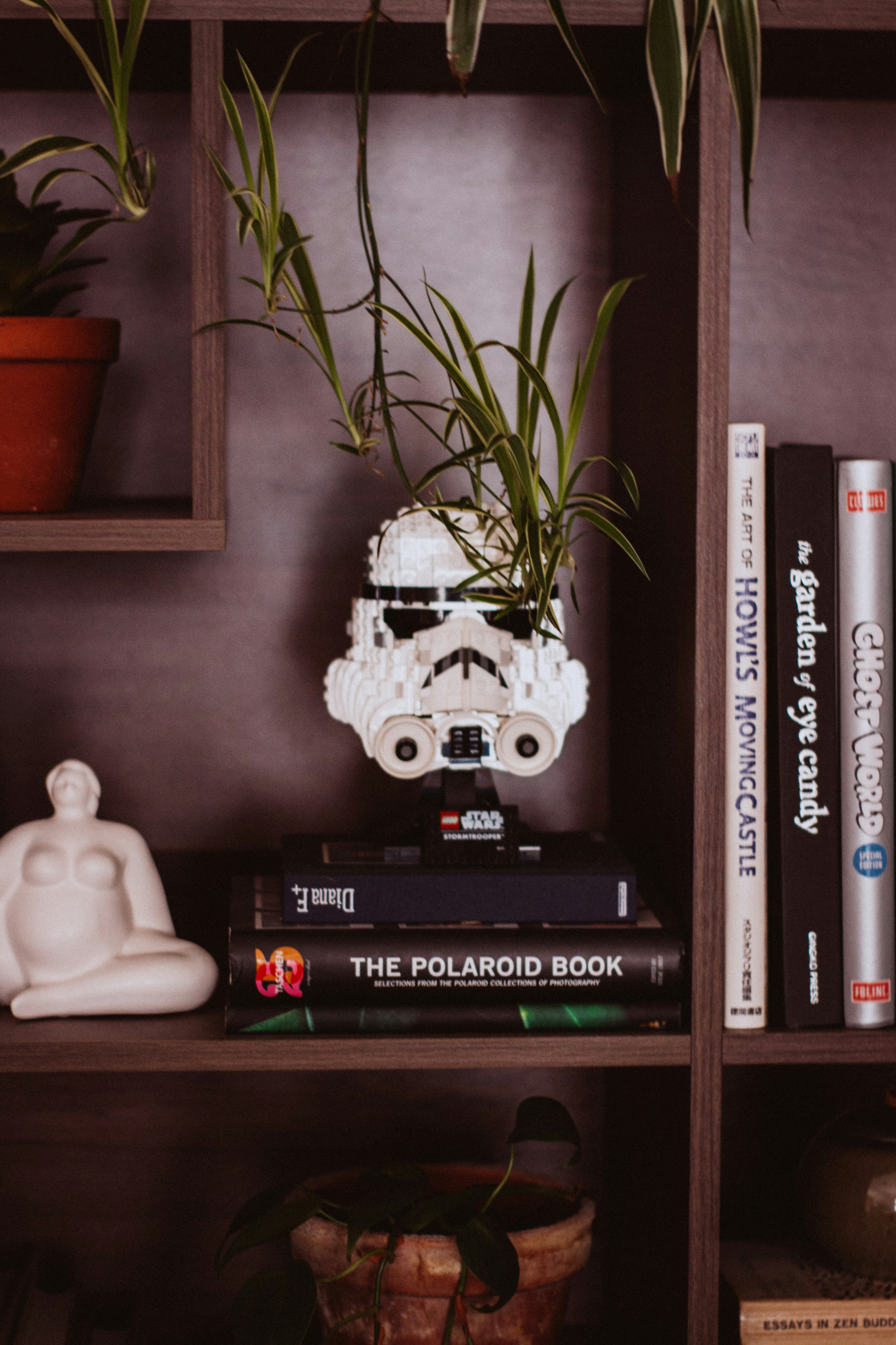 Stormtrooper Plant Crown: A Quiet Nerd-Library Vignette