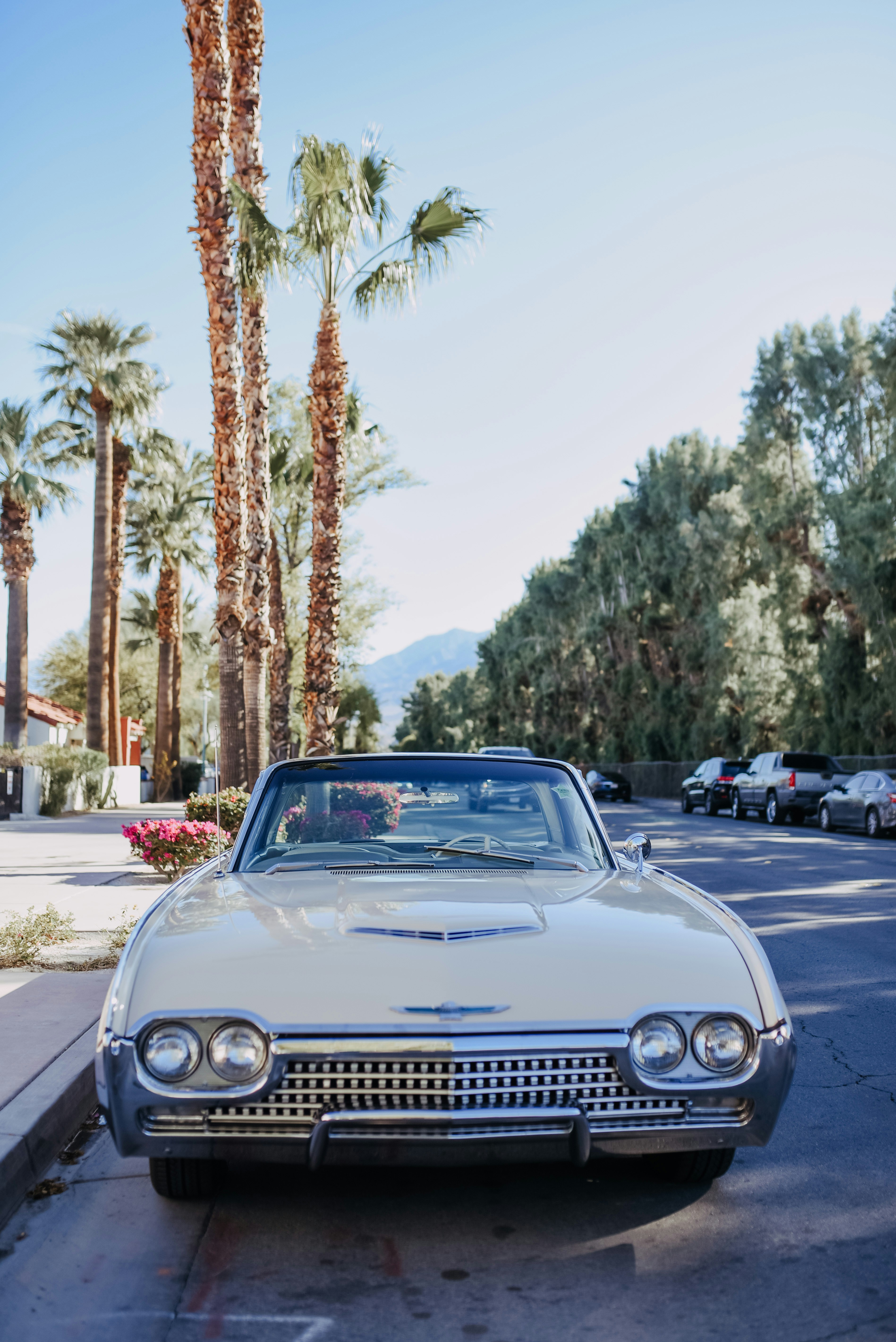 Sunlit Chrome: A Vintage Convertible Anchors a Palm-Lined Street