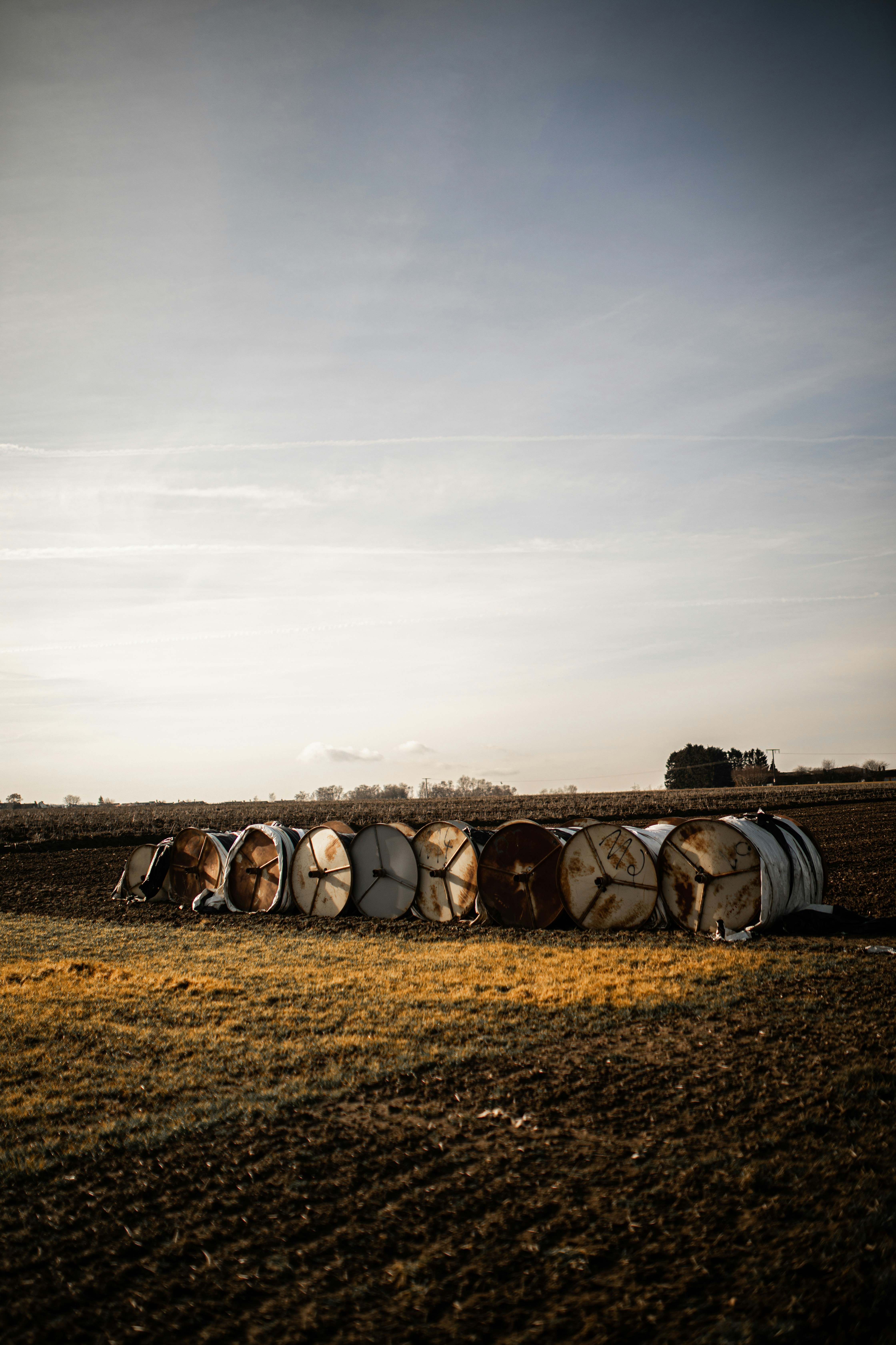 Horizon of Cylindrical Bales: A Quiet Row in Late-Day Light