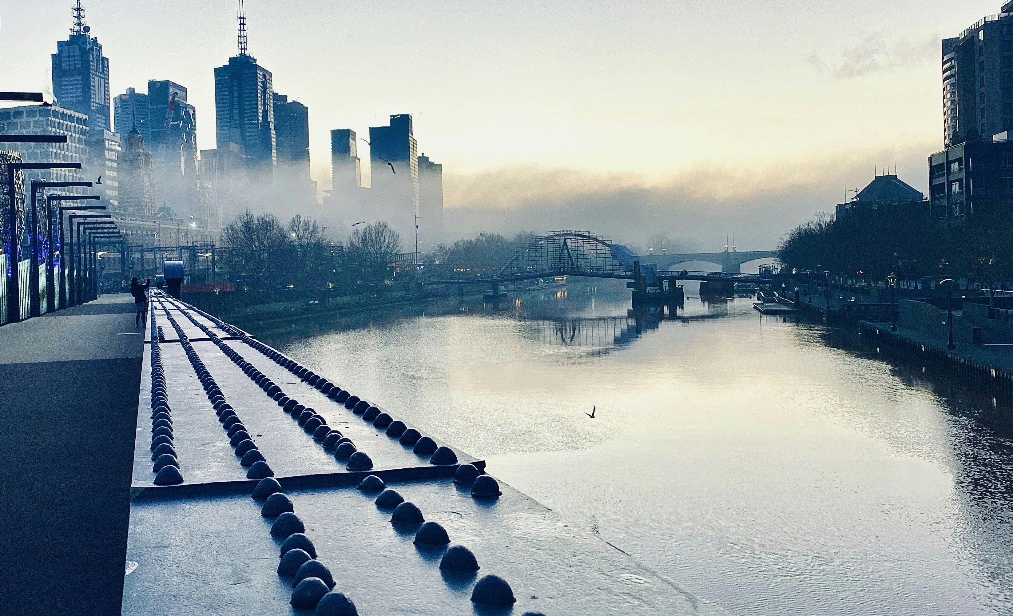 Kate Stone Matheson (@kstonematheson) | Unsplash Photo Community