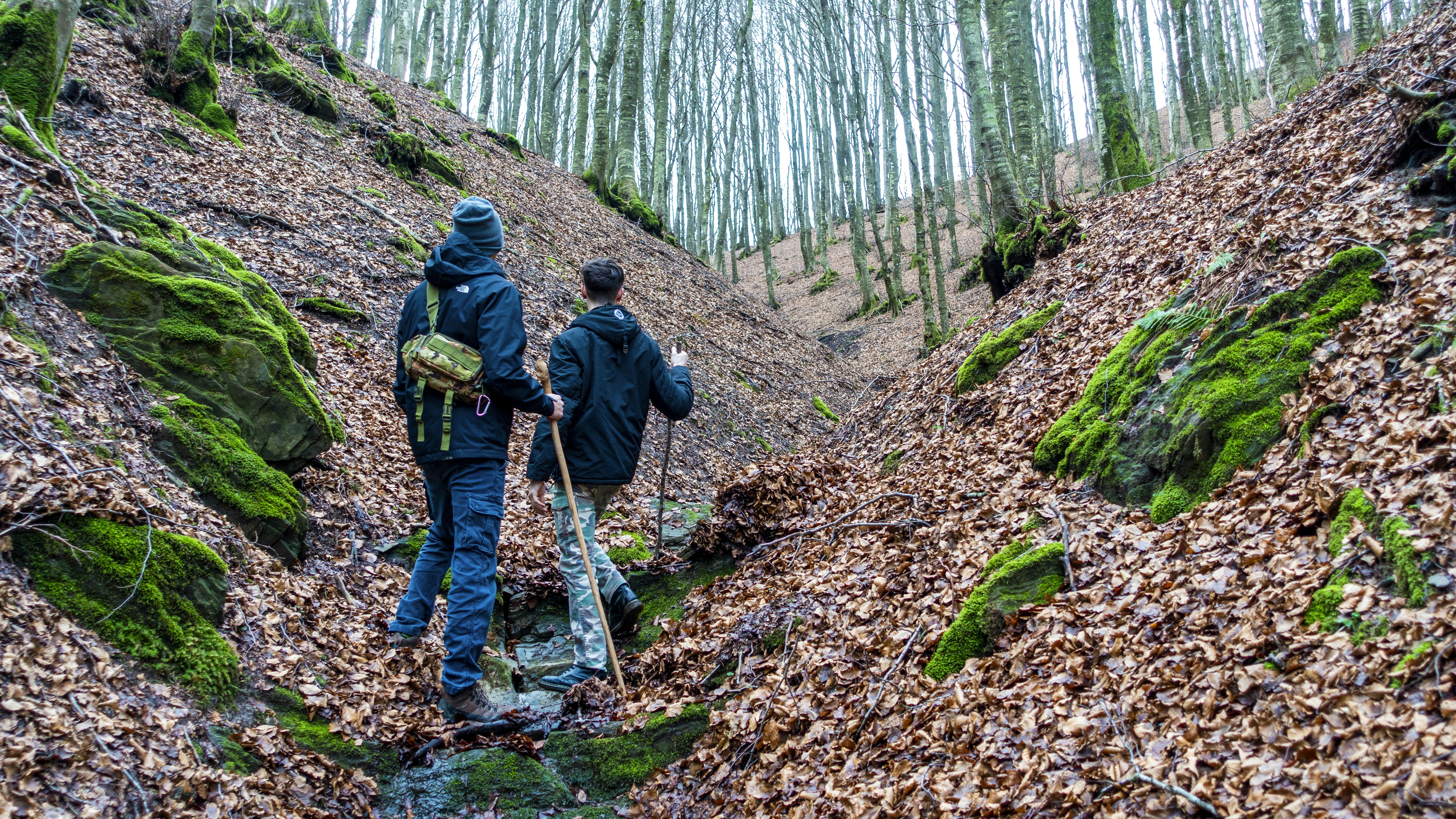 2 men walking on forest during daytime photo – Free Mugello Image on ...