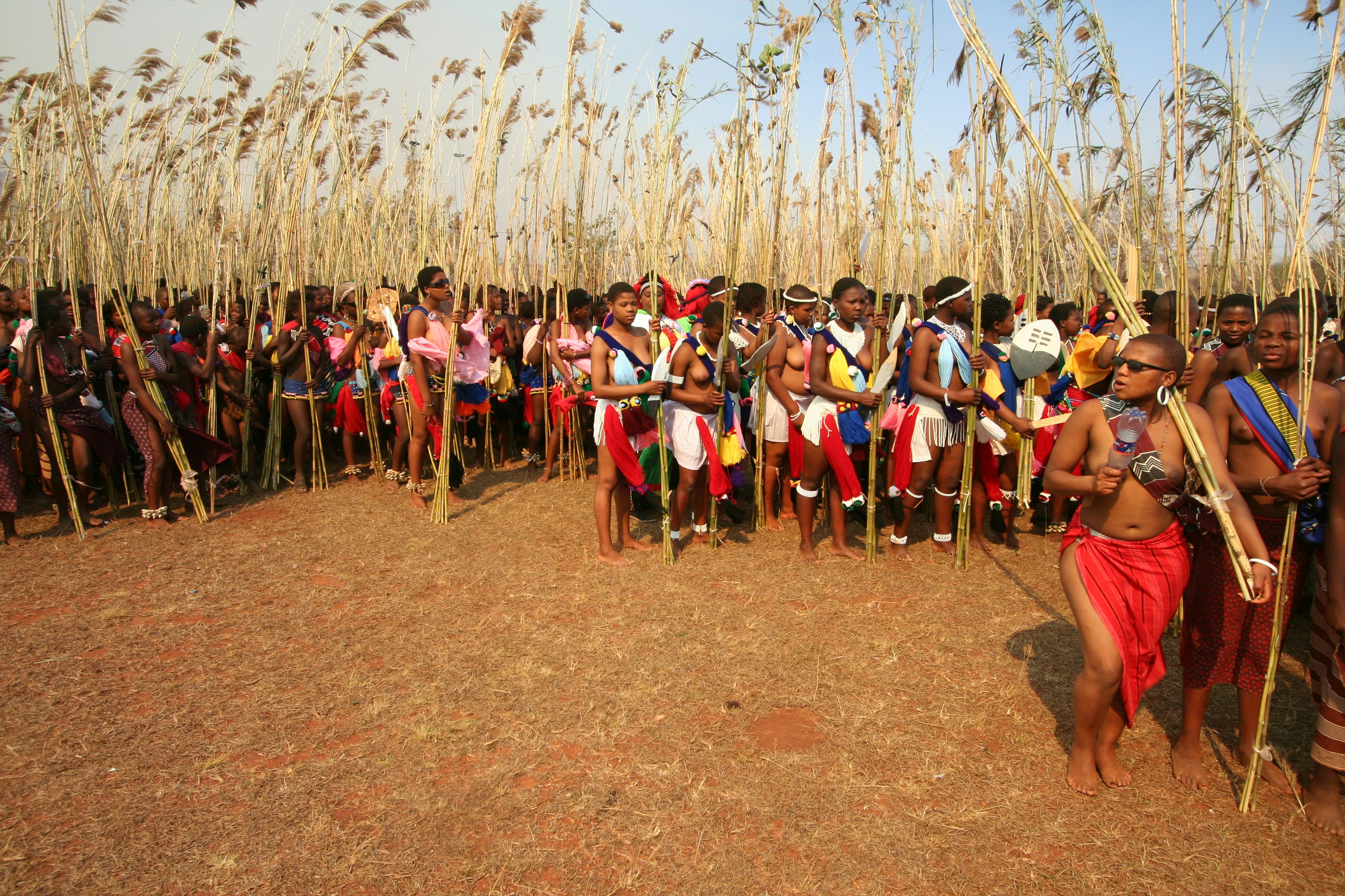A vibrant gathering of individuals adorned in traditional attire, standing amidst tall grasses, symbolizing unity and celebration.