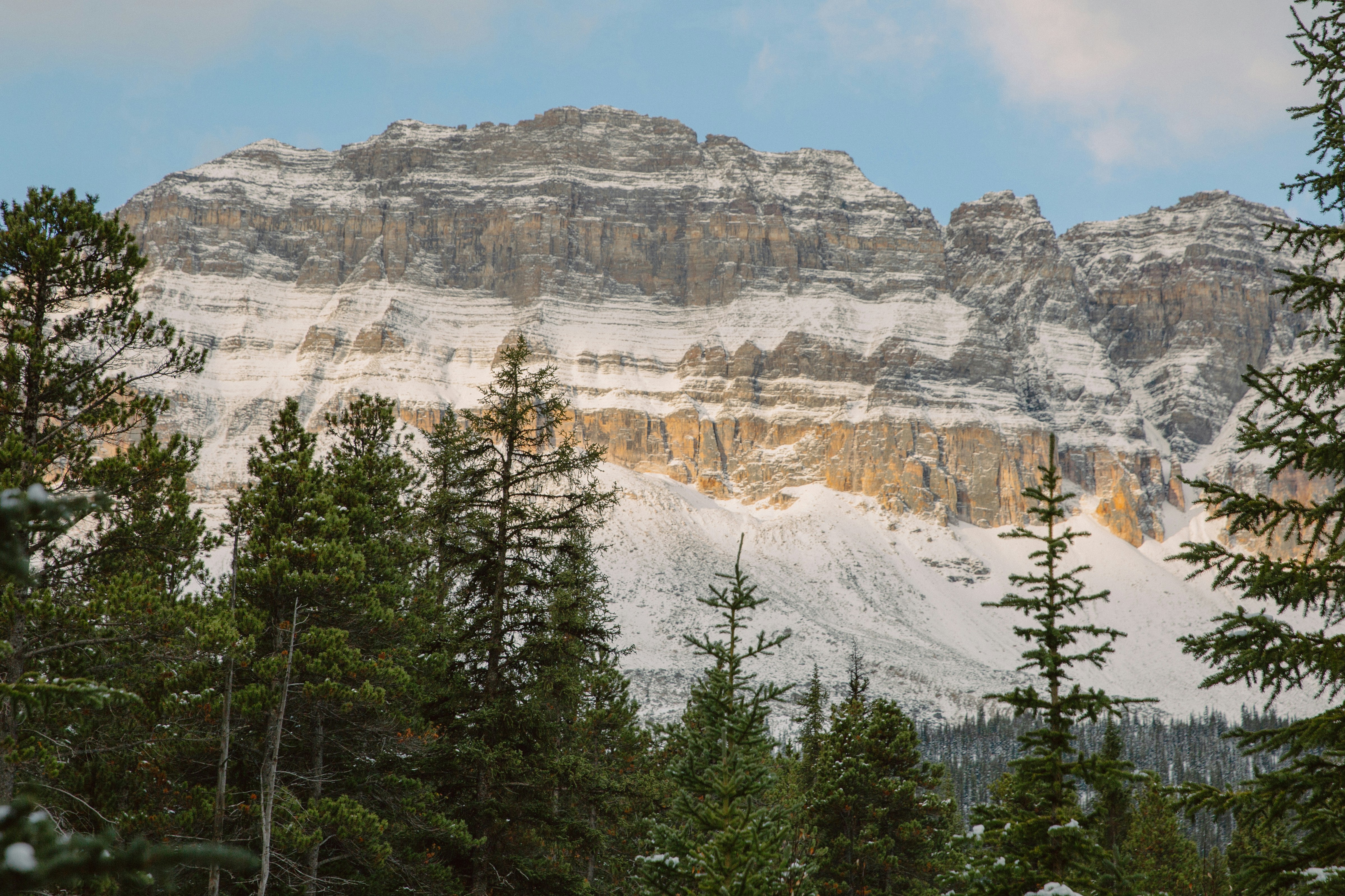 Majestic mountain range dusted with snow, framed by lush evergreen trees under a soft blue sky.