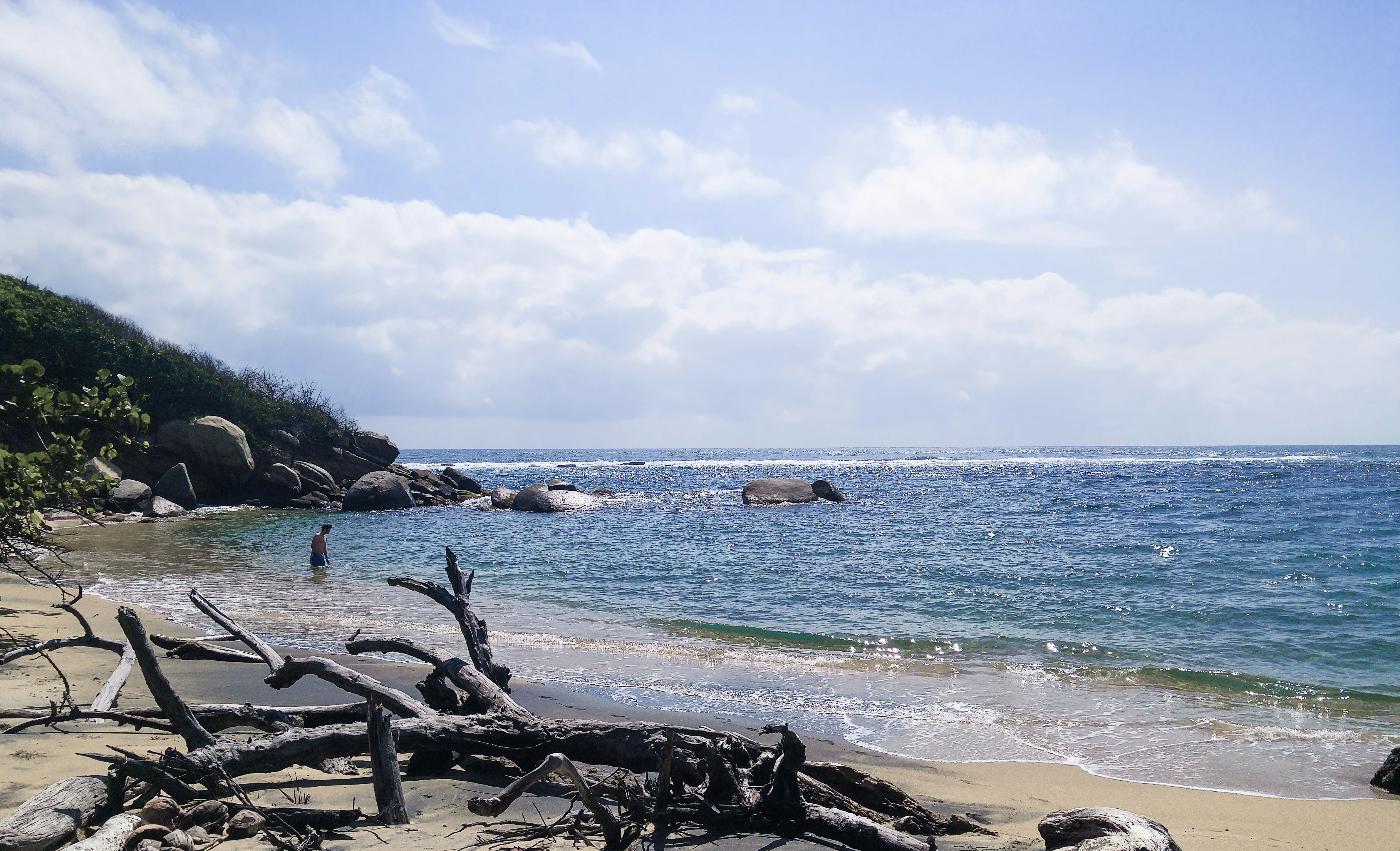 Sunlit tropical beach with weathered driftwood in the foreground, a calm turquoise sea, and a lone swimmer near the shore.