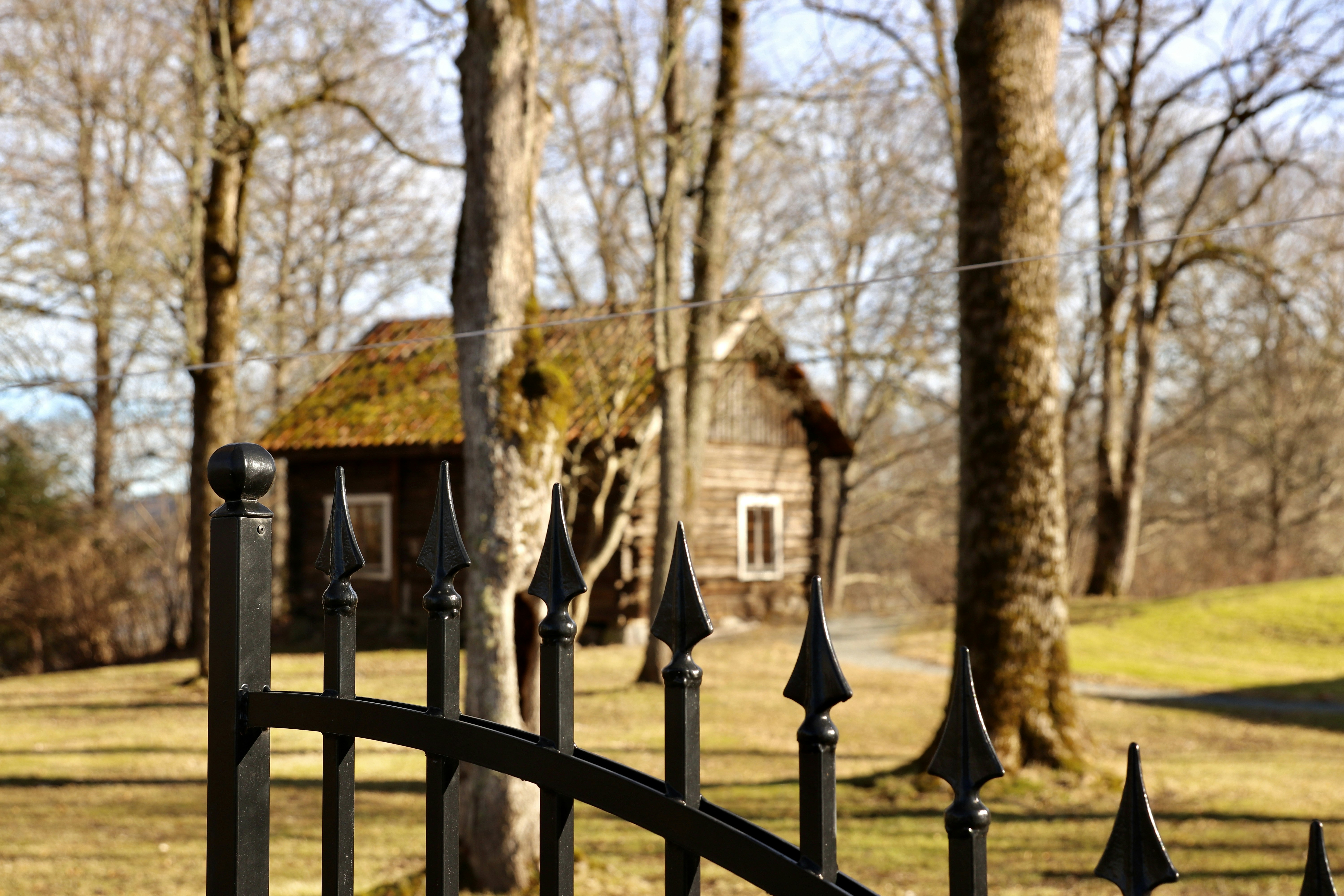 Weathered wooden cabin nestled among trees, viewed through ornate black gate. Sunlight filters through branches, casting soft shadows.