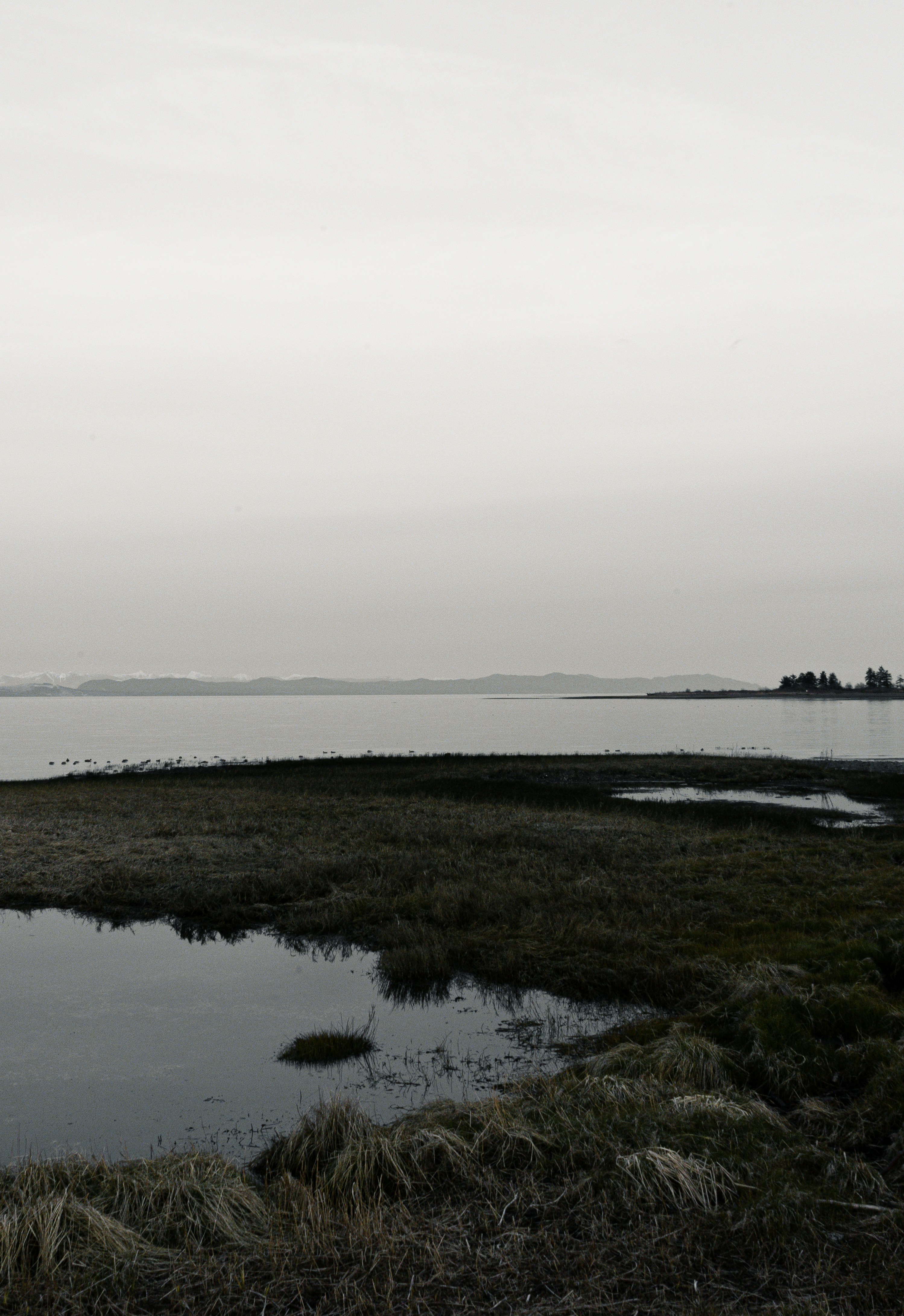 Dusk on the Quiet Marsh: A Horizon of Water and Grass