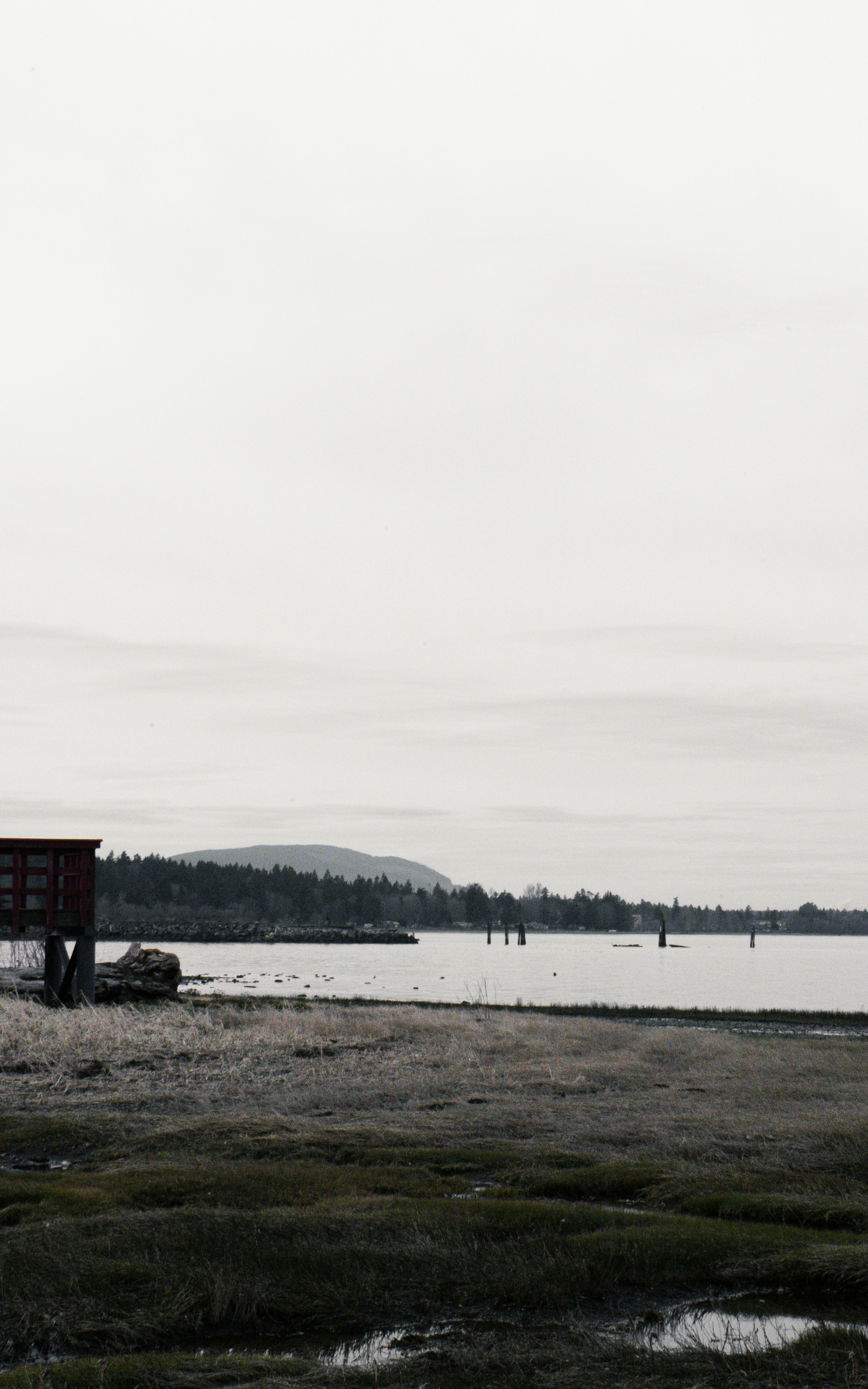 Red Cabin on Weathered Pilings by a Quiet Inlet