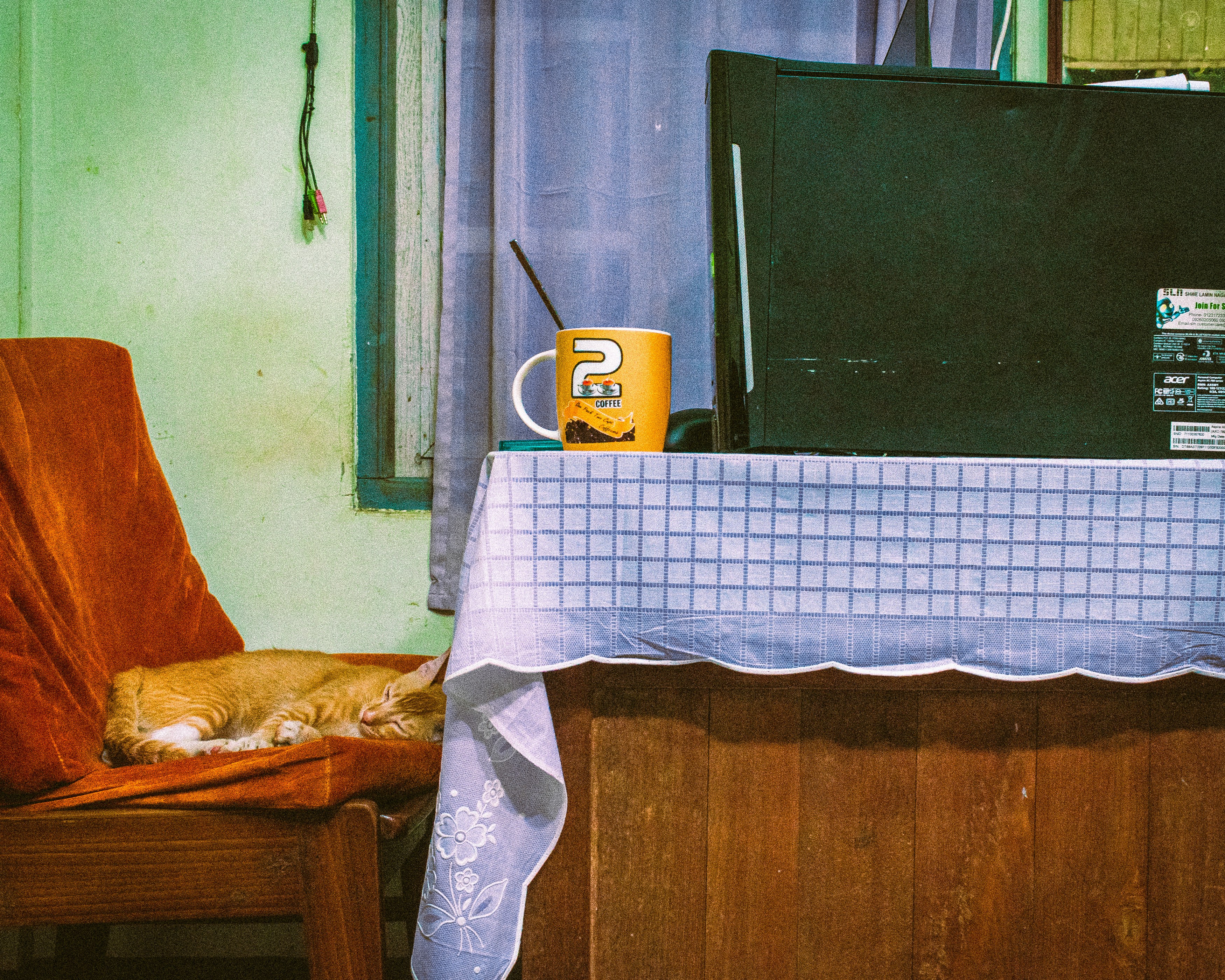 Yellow Mug Vigil: A Quiet Moment by the Dozing Cat