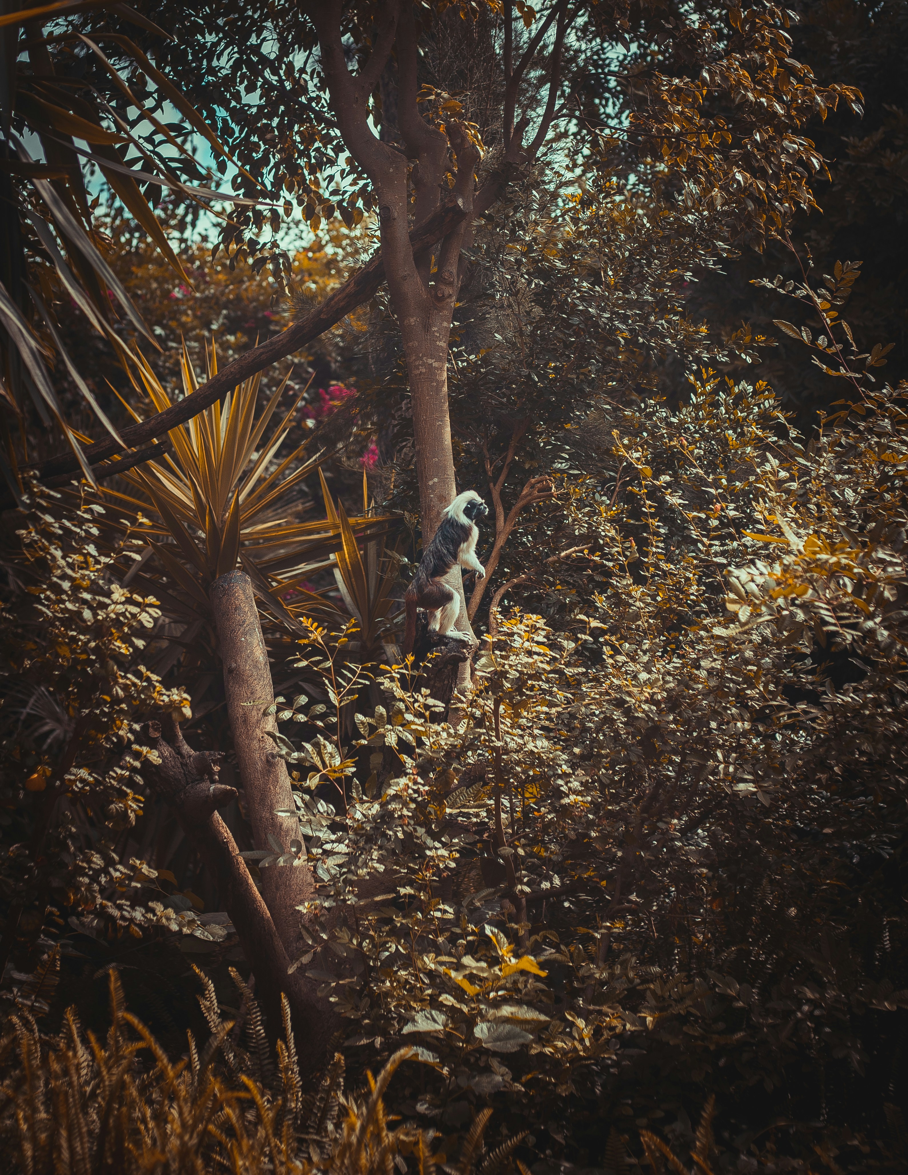 A monkey perched on a tree branch amidst a lush, vibrant jungle, surrounded by rich foliage and hints of colorful flowers.