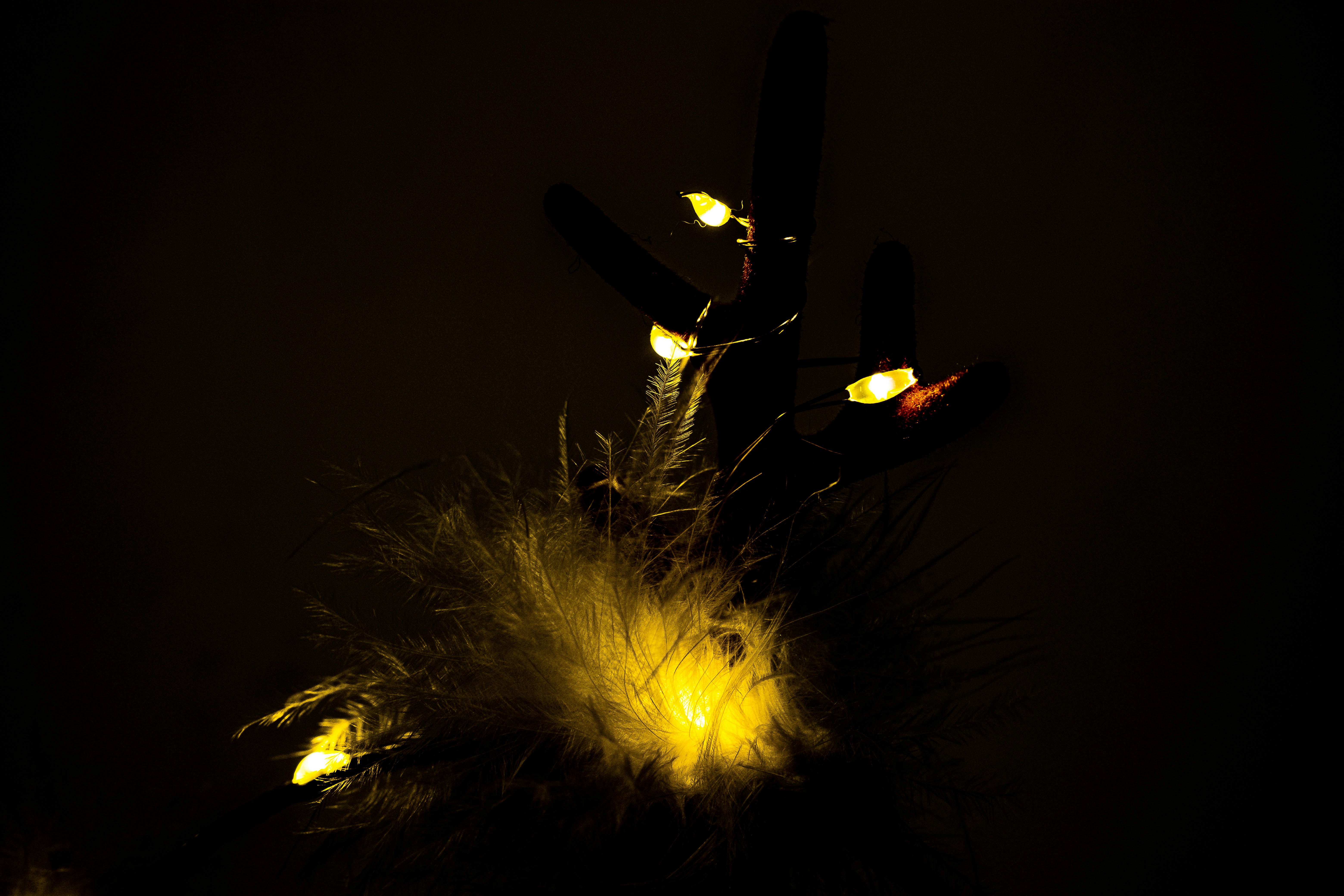 Ember Tuft: Velvet Flora Bathed in Quiet LED Glow