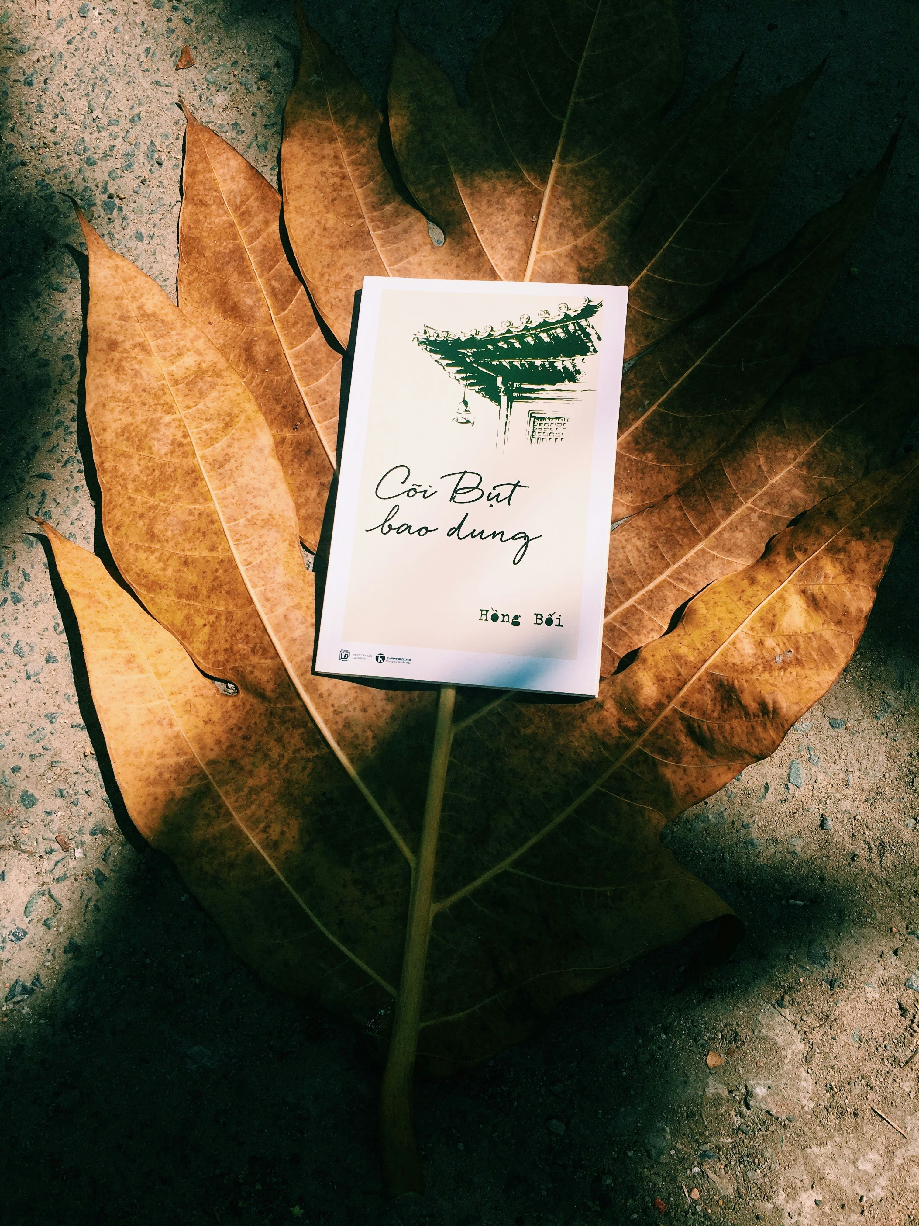 white and black card on green leaf