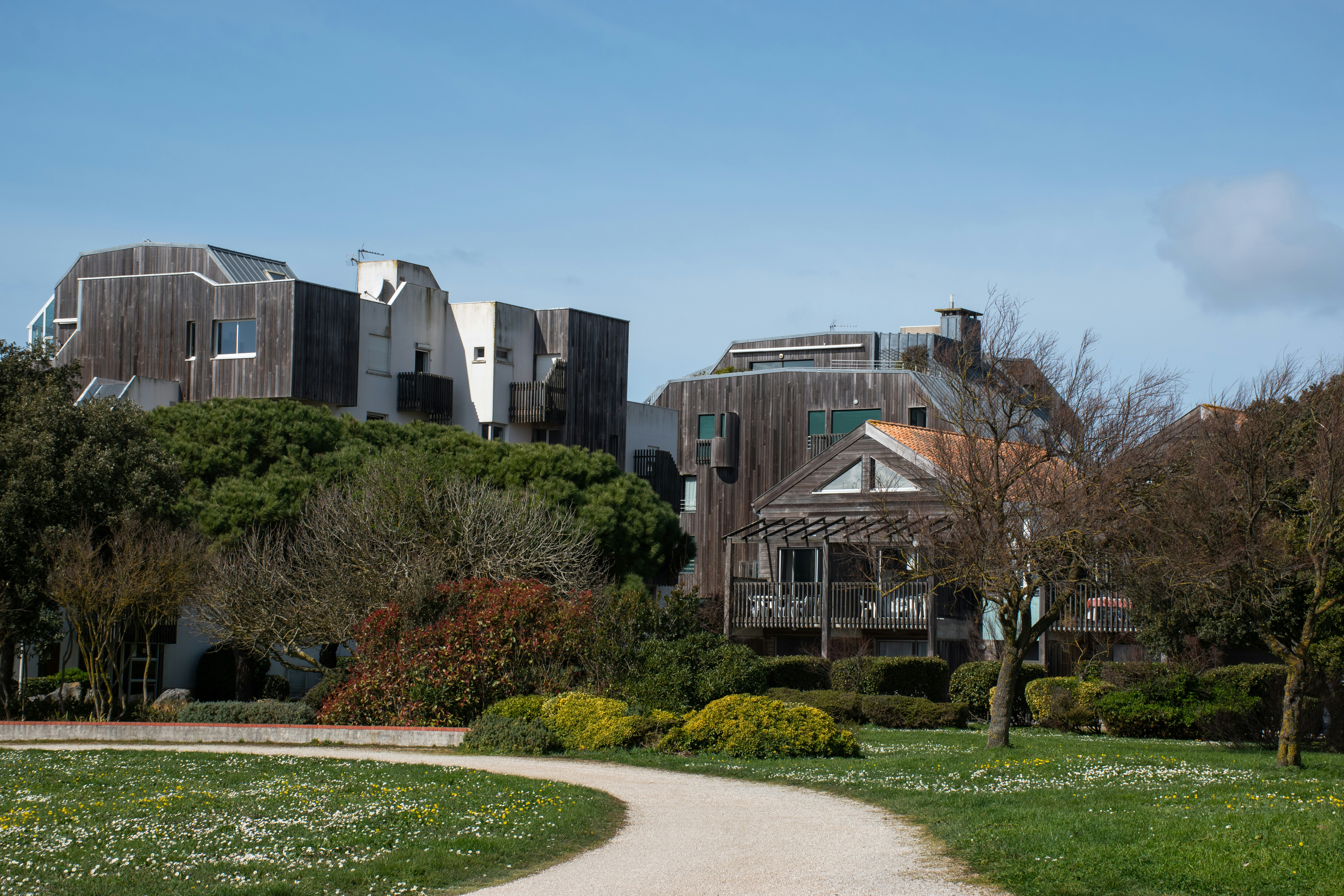 Modern wooden buildings blend seamlessly with lush greenery in a serene park setting. The scene captures the balance between architecture and nature.