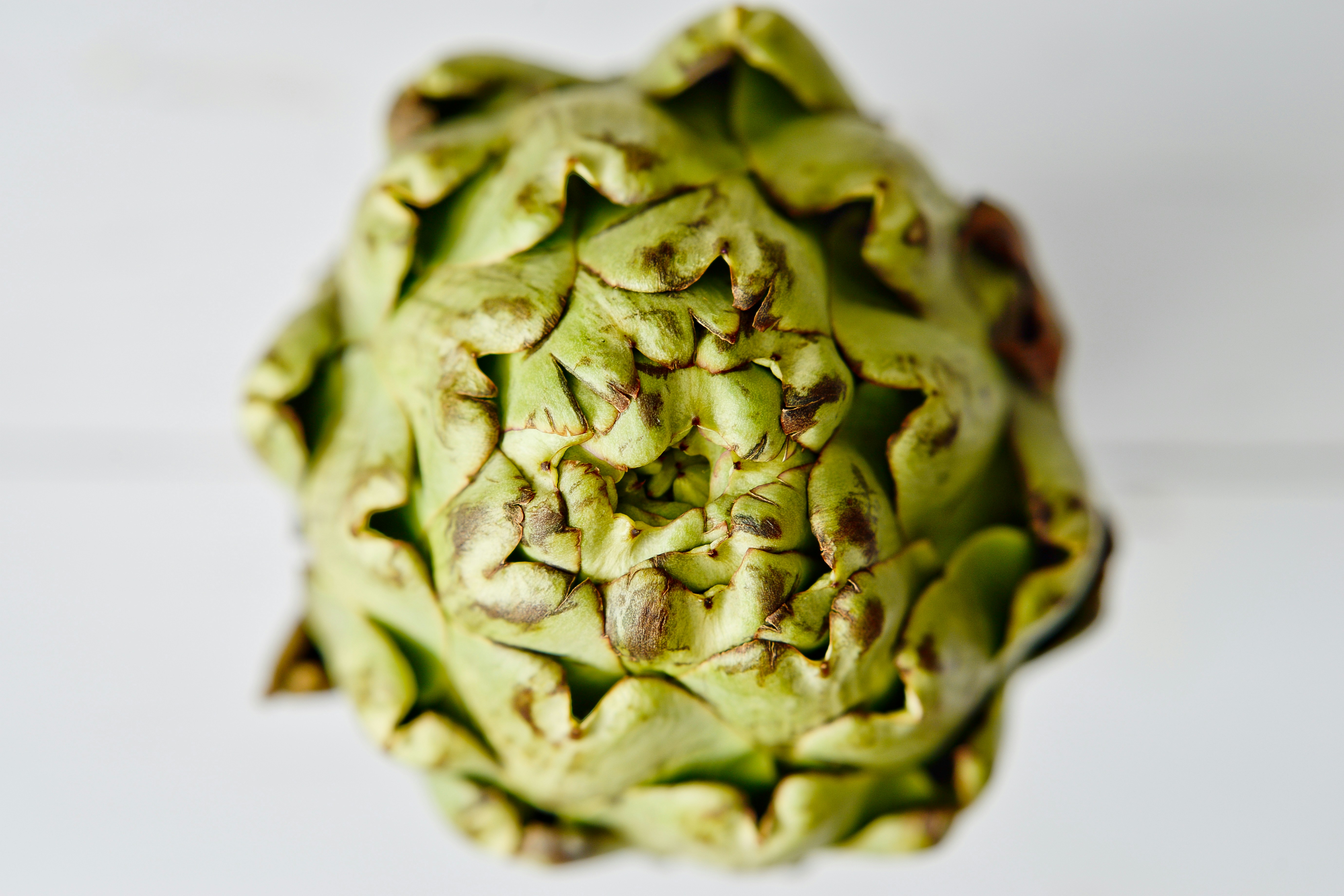 green flower bud in close up photography