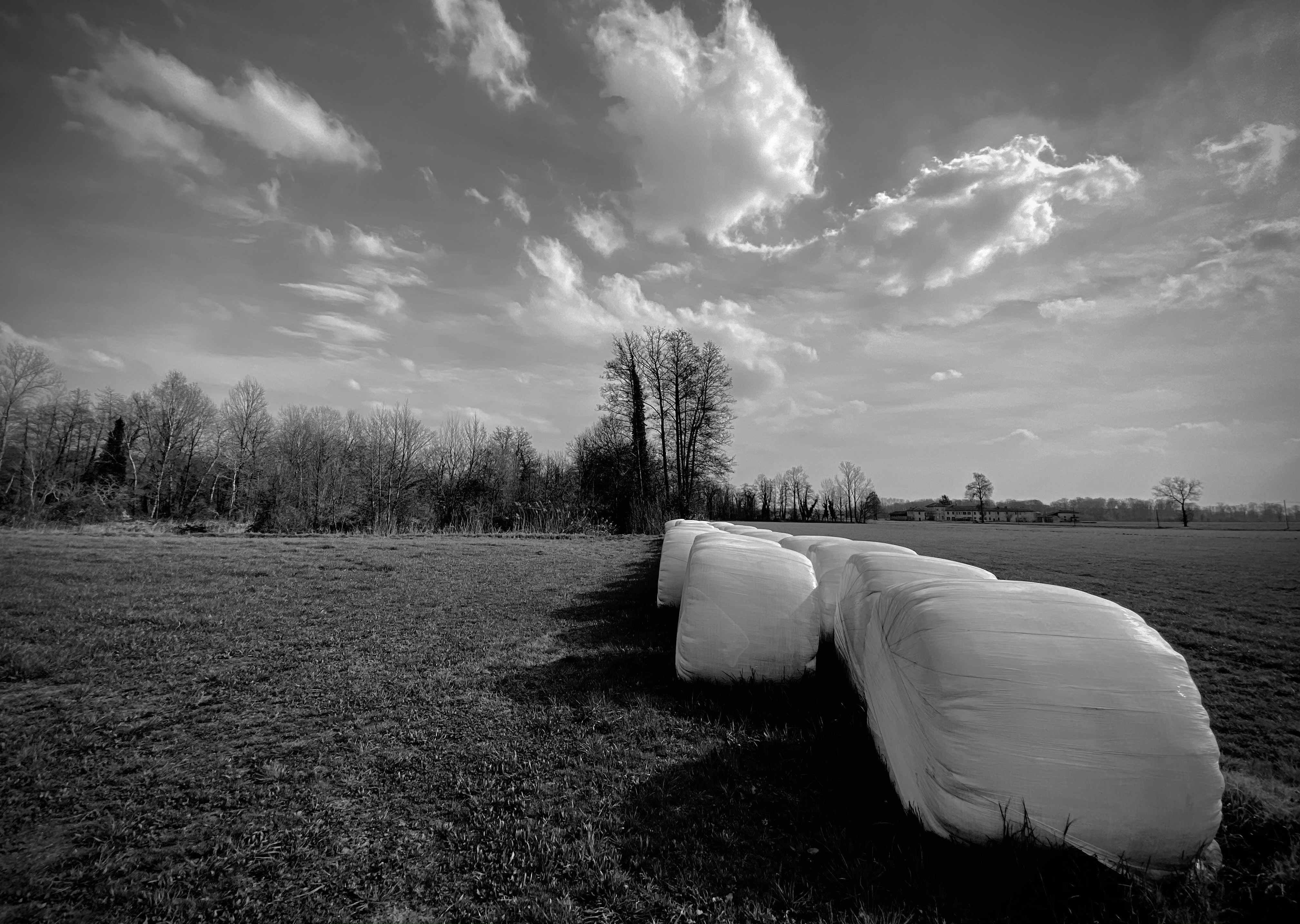 grayscale photo of white textile on grass field