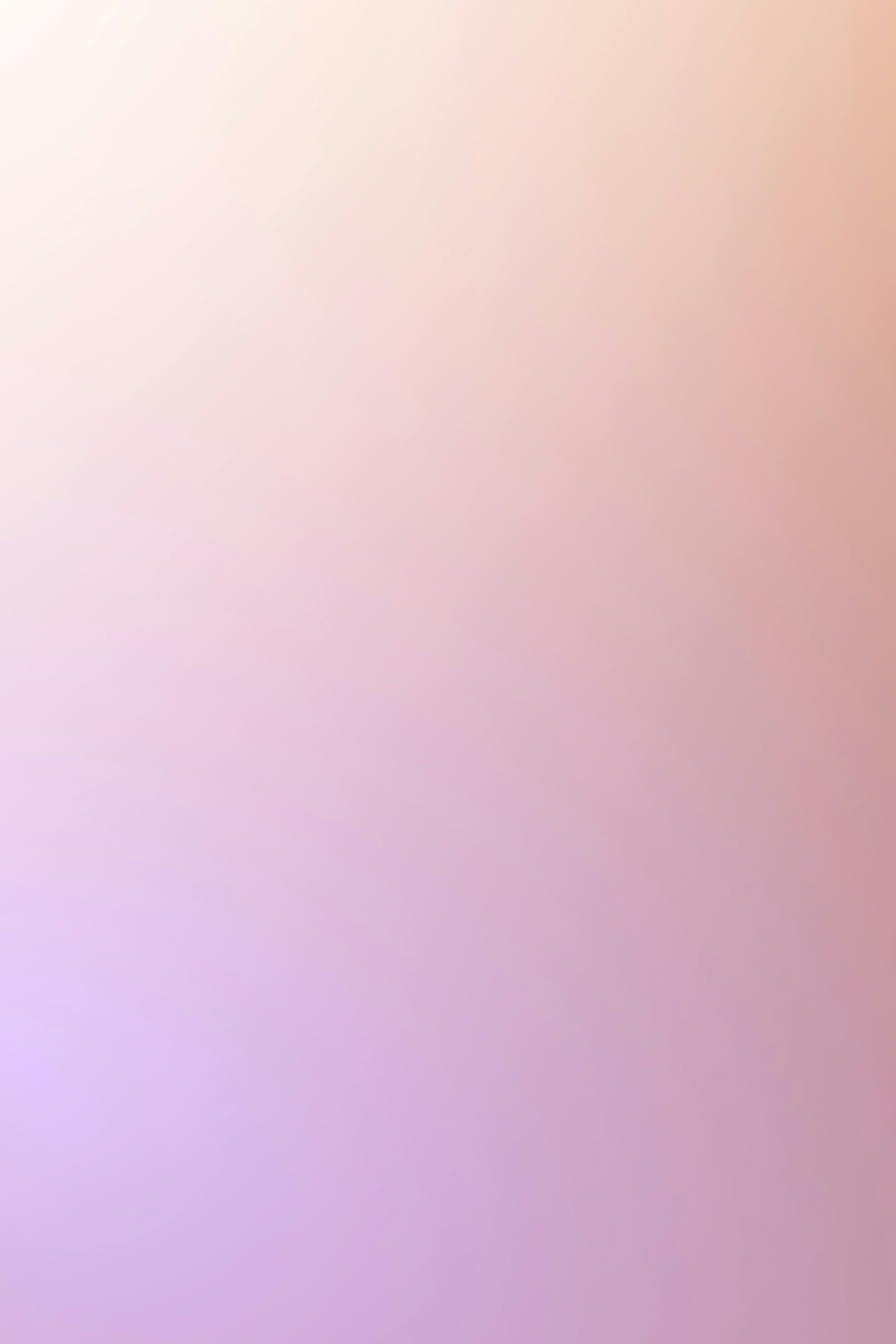 Ilustração da cor roxa e branca foto – Imagem grátis sobre Roxo na Unsplash