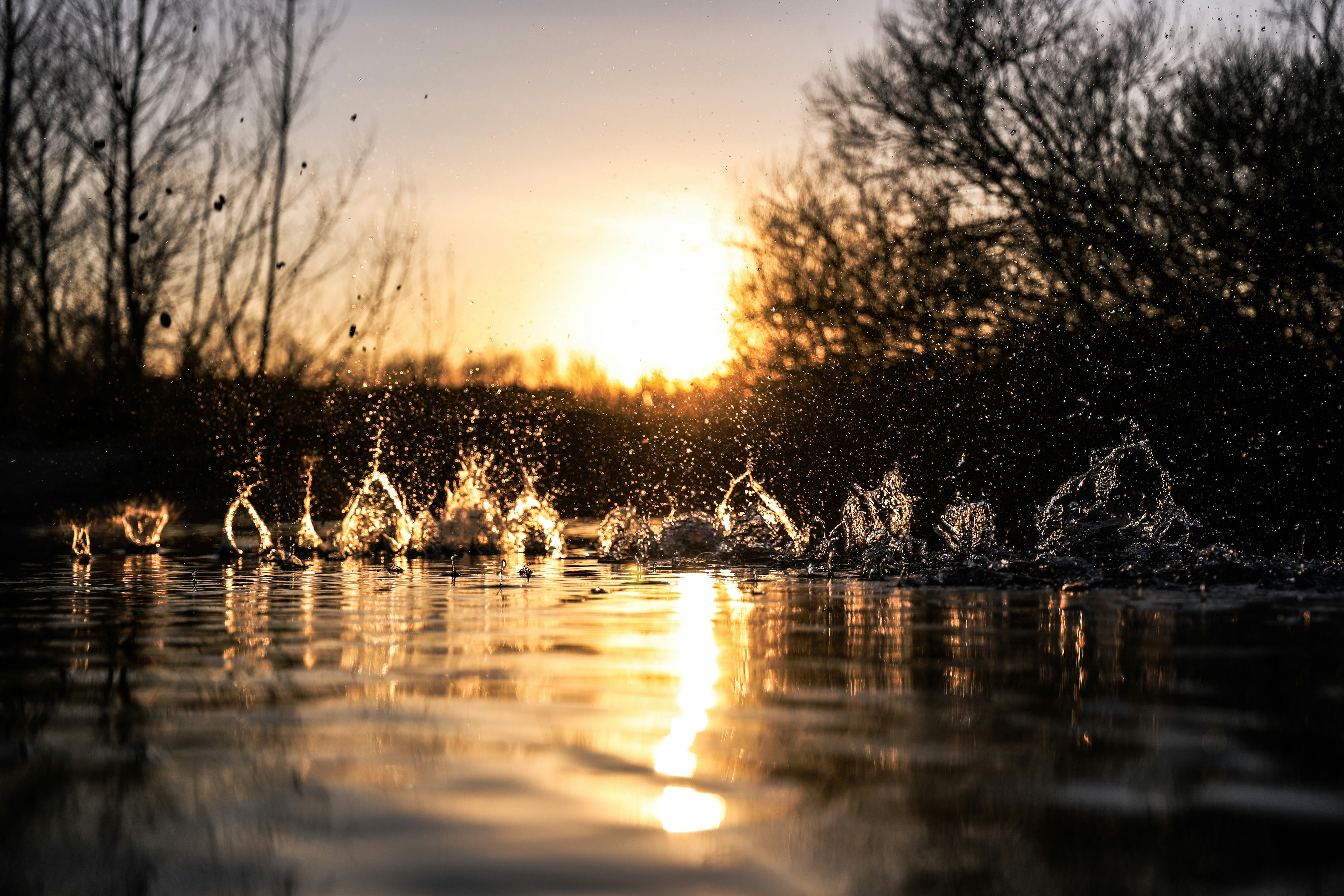 Water splashes create dynamic patterns against a glowing sunset backdrop, framed by silhouetted trees.